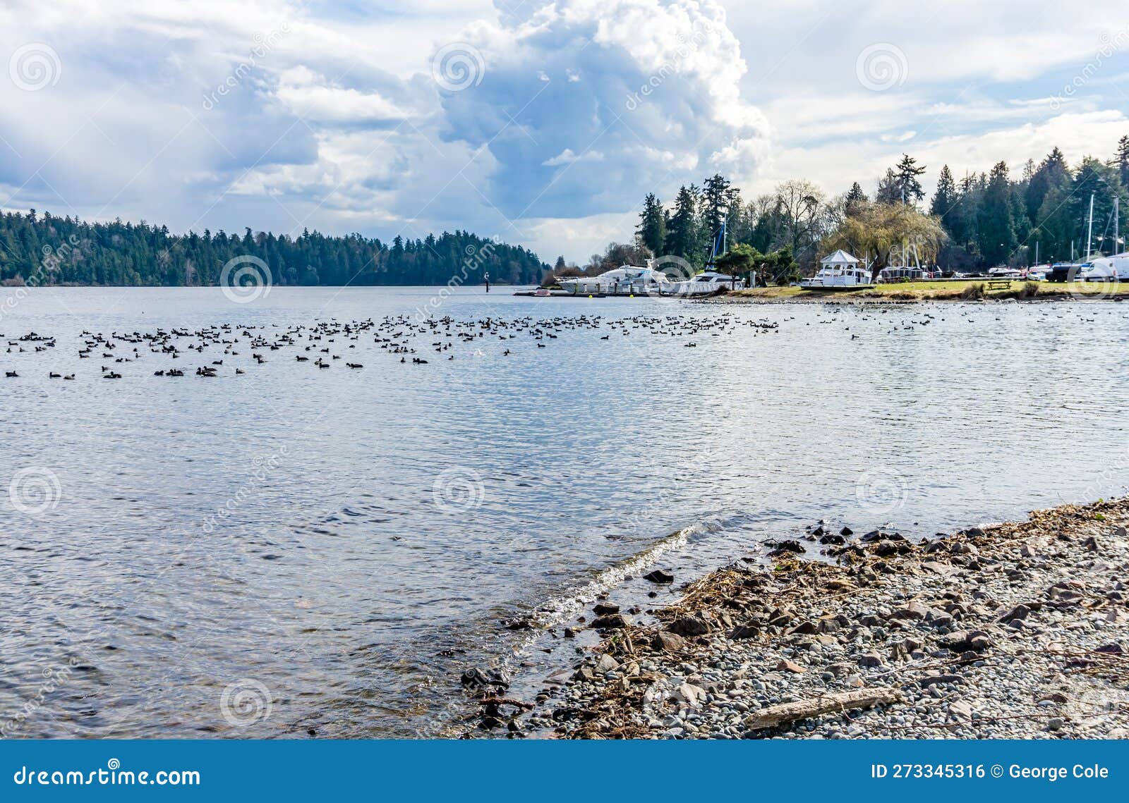 Lake Waterfront Boat 2 stock photo. Image of shoreline - 273345316