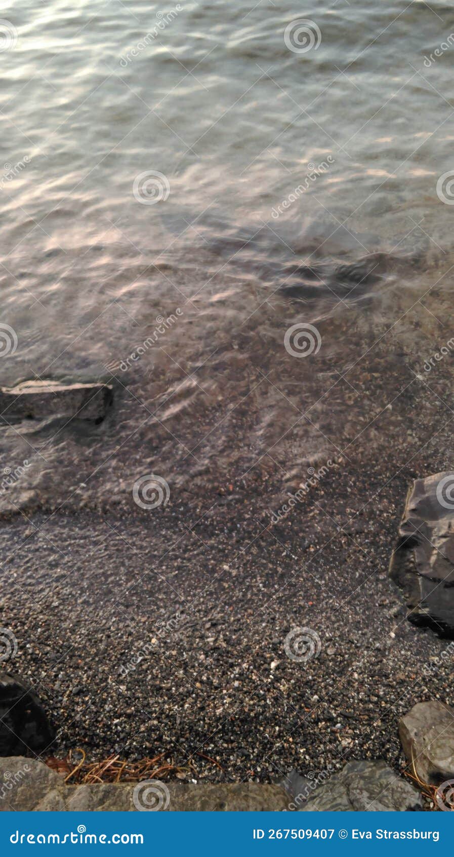 Lake waterline stock image. Image of sand, lake, water - 267509407
