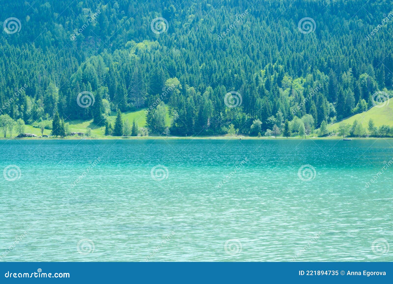 Lake Weissensee with a View of the Forest Upland Stock Image - Image of ...