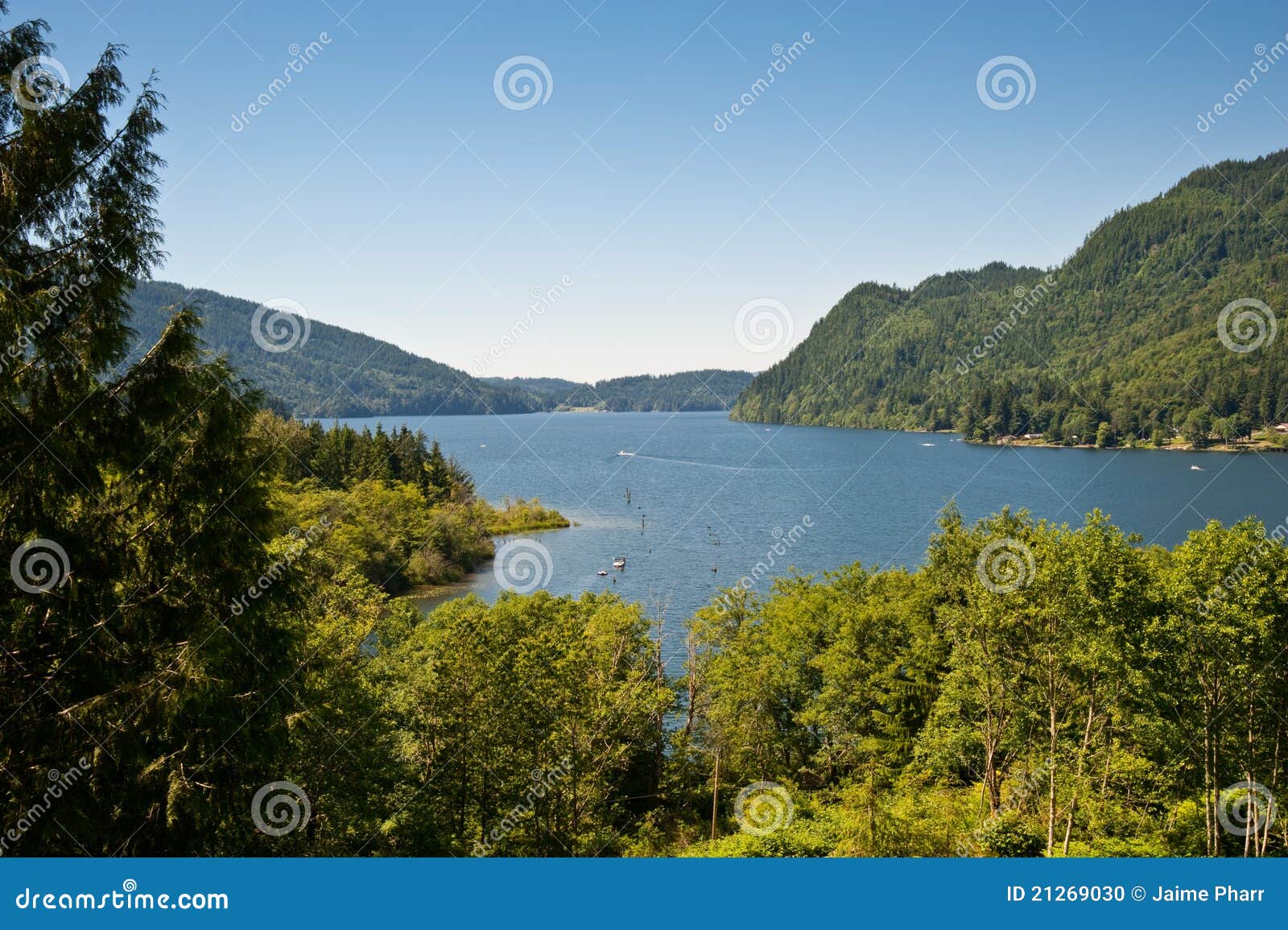 Lake Whatcom stock photo. Image of nature, outside, plants - 21269030