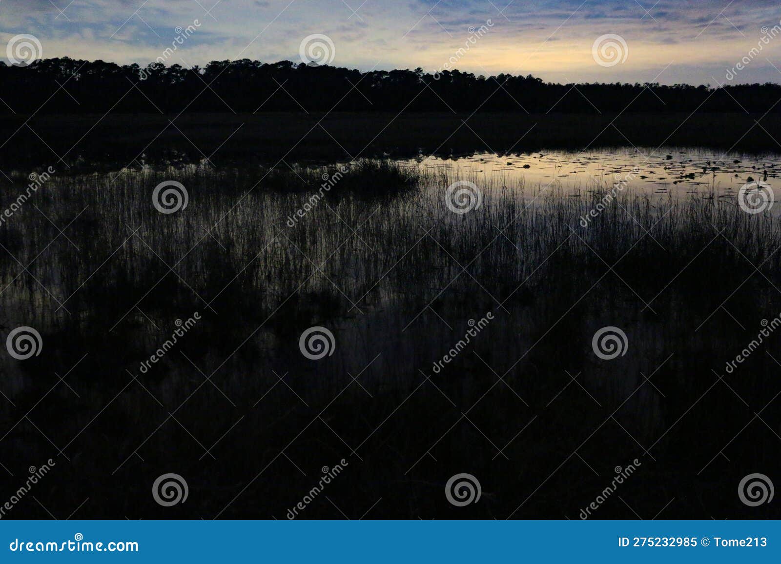 A Lake in the Wilderness at Night Stock Image - Image of nightime ...
