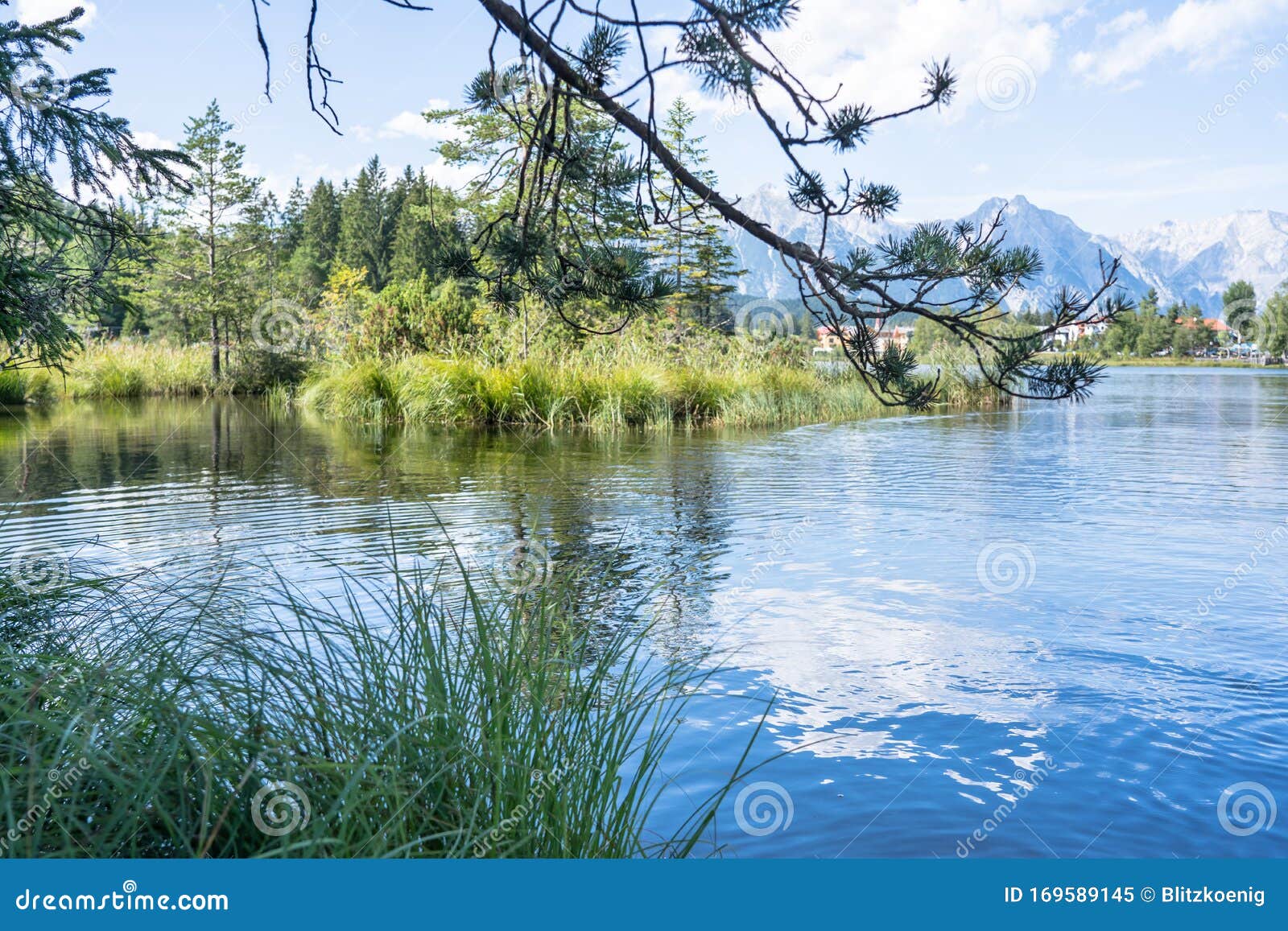Lake Wildsee at Seefeld in Tirol, Austria Stock Image - Image of pine ...