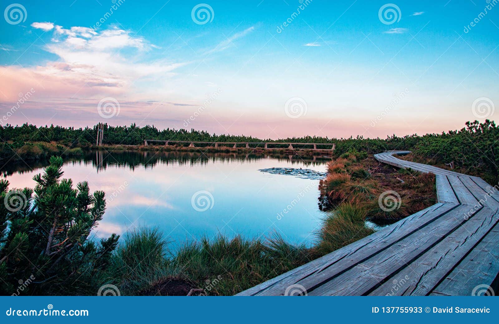 Lake with wooden path stock image. Image of scenery - 137755933