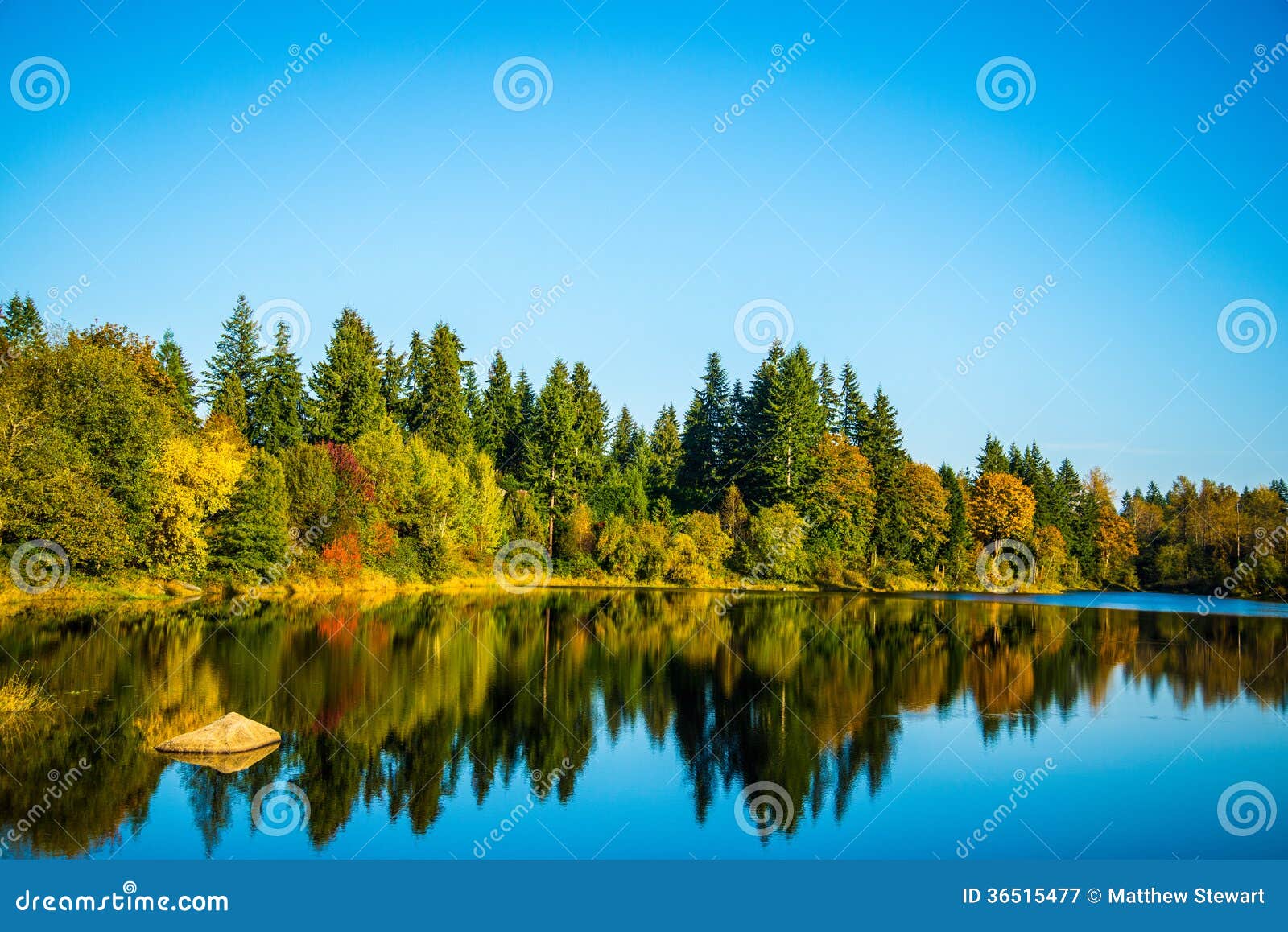 Lake in the Woods stock image. Image of color, winter - 36515477
