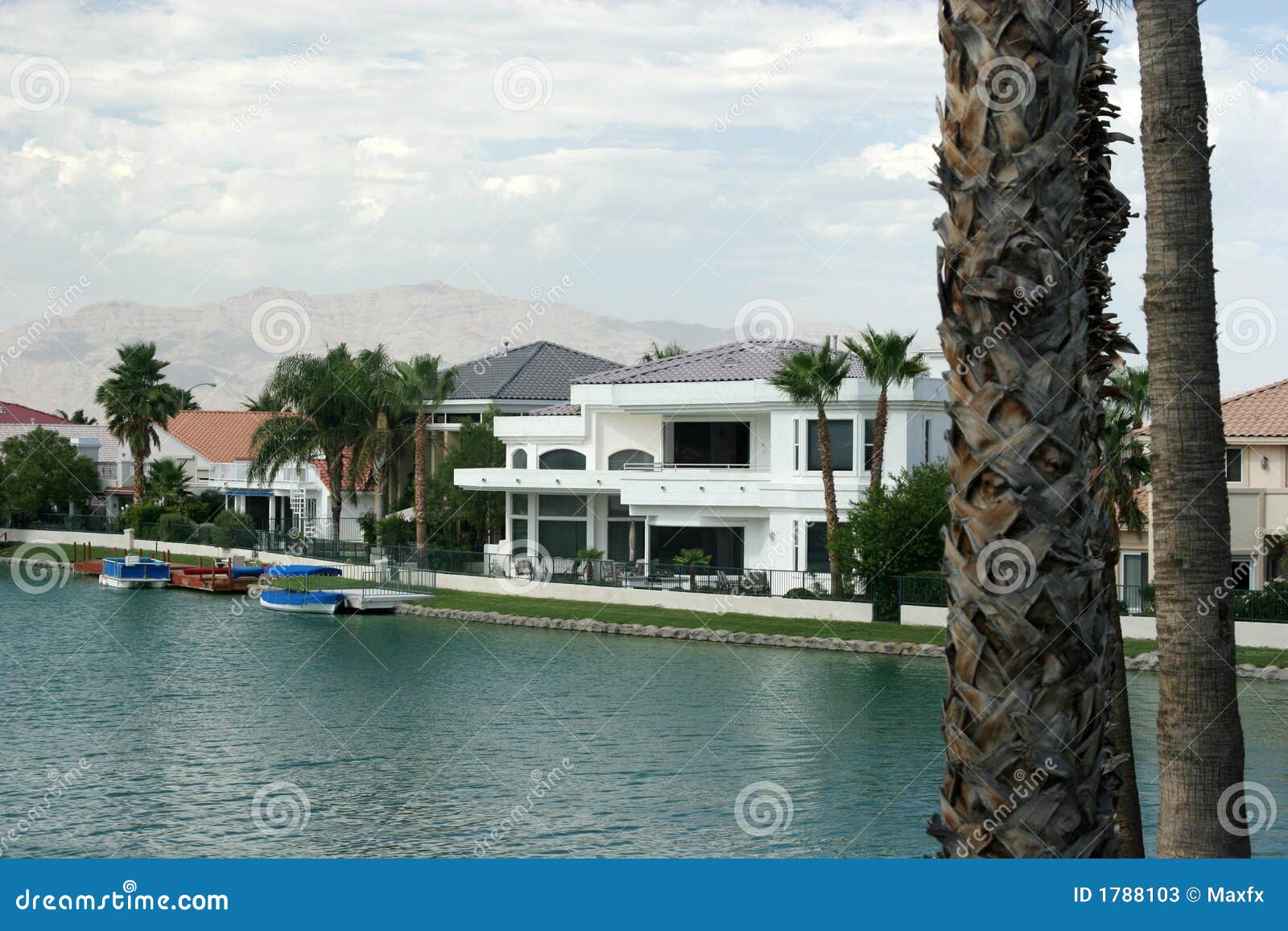 Lakefront Mansions with Water View Stock Image - Image of palm, estate ...