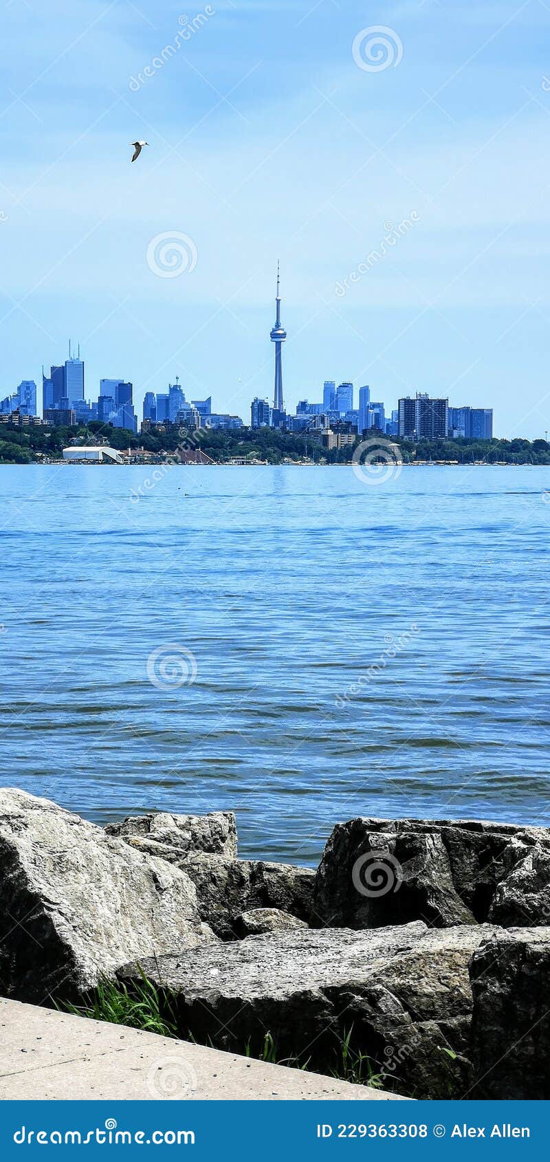 Lakefront Toronto CN Tower editorial stock photo. Image of boat - 229363308