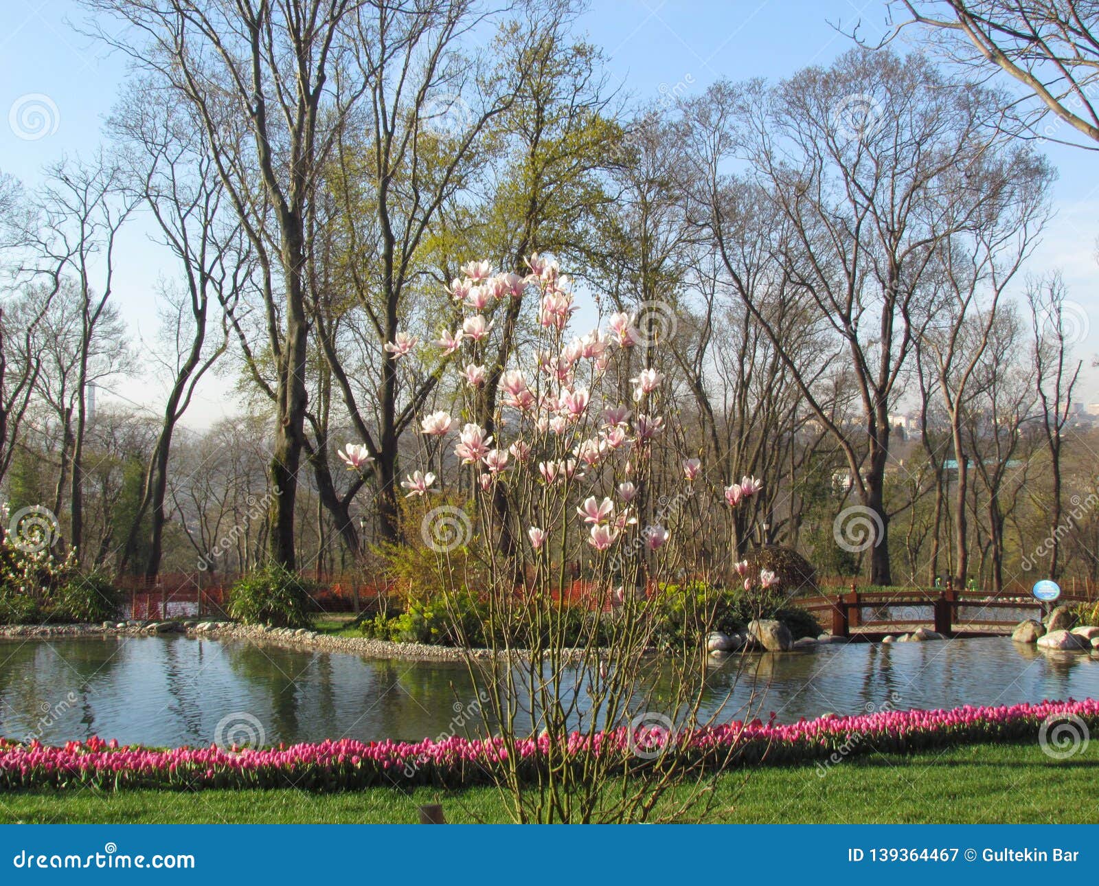 Lakes flowers spring stock image. Image of flowers, spring - 139364467