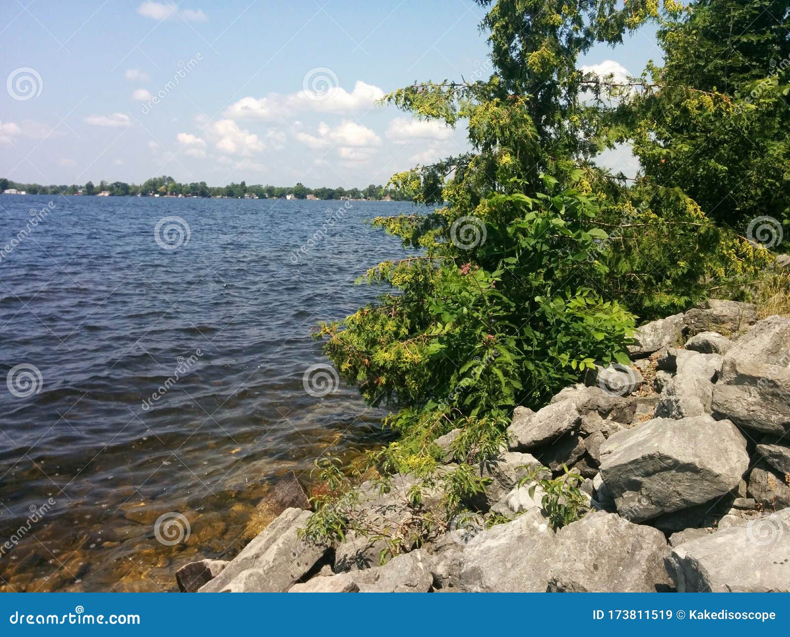 Lakes Rocks and Pine Trees stock image. Image of canada - 173811519