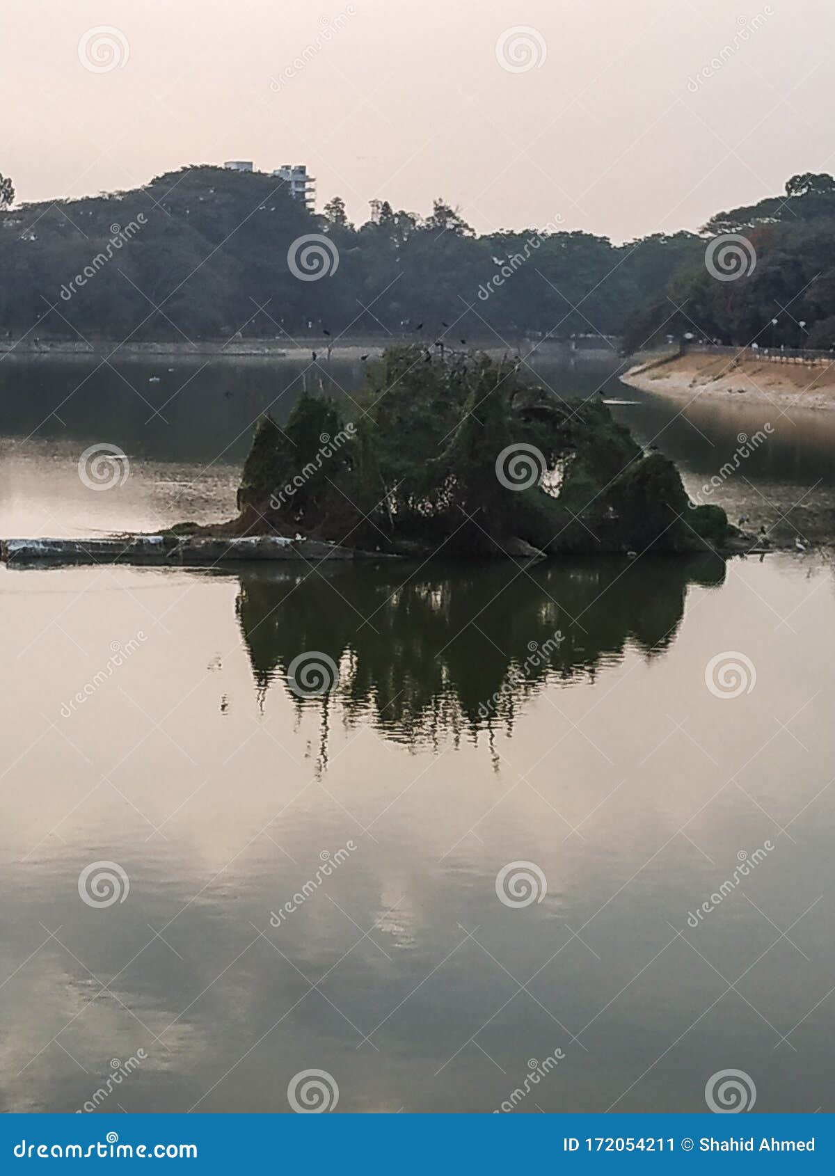Lakes, Water, Trees, Sky, Scenery, Reflection, Nature, Beautiful ...