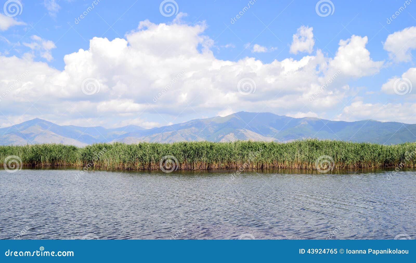 Lakescape, Small Prespa Lake Stock Image - Image of lagoon, blue: 43924765