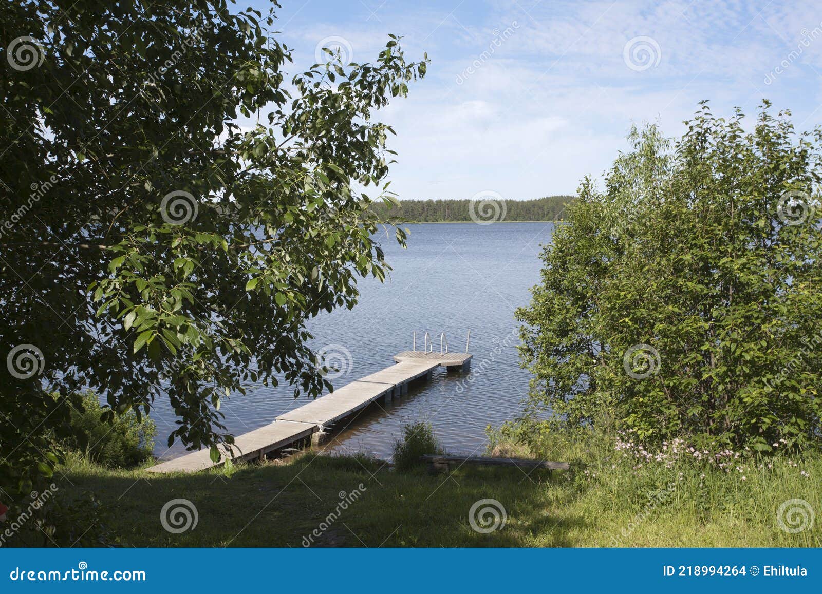 Lakeshore scene, Finland stock photo. Image of lake - 218994264