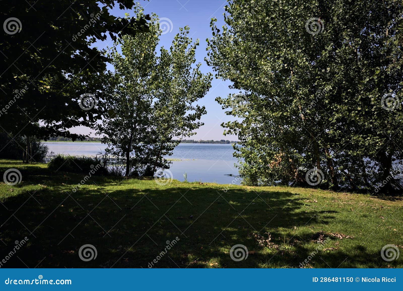 Lakeshore with Trees and the Opposite Shore on the Horizon on a Sunny ...