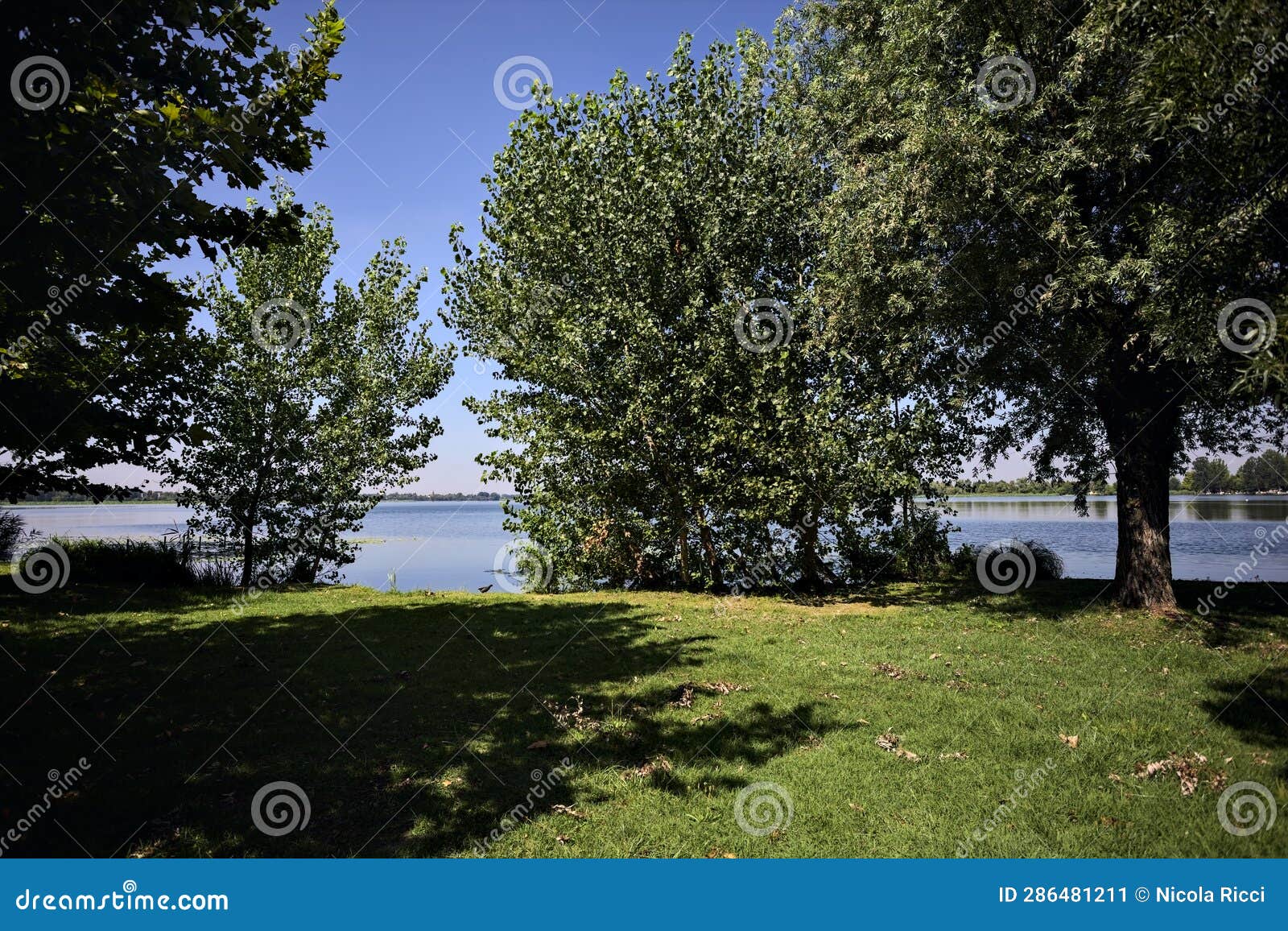 Lakeshore with Trees and the Opposite Shore on the Horizon on a Sunny ...
