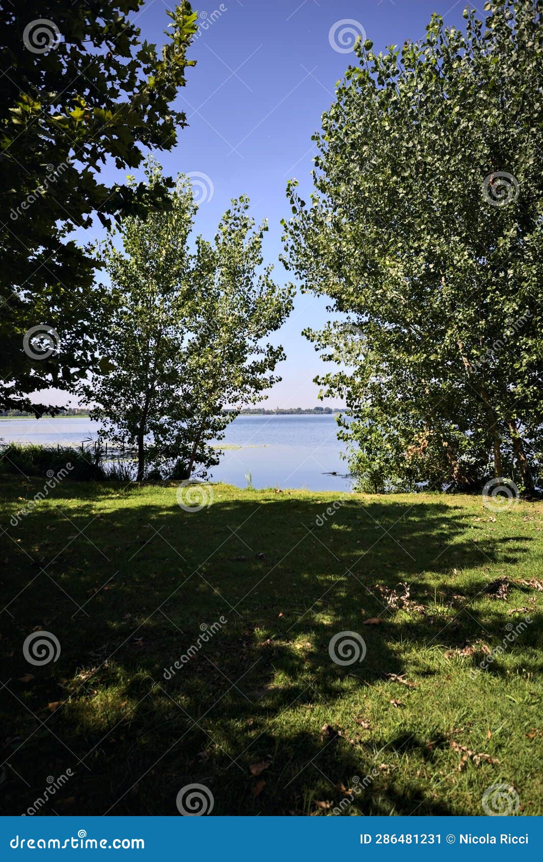 Lakeshore with Trees and the Opposite Shore on the Horizon on a Sunny ...