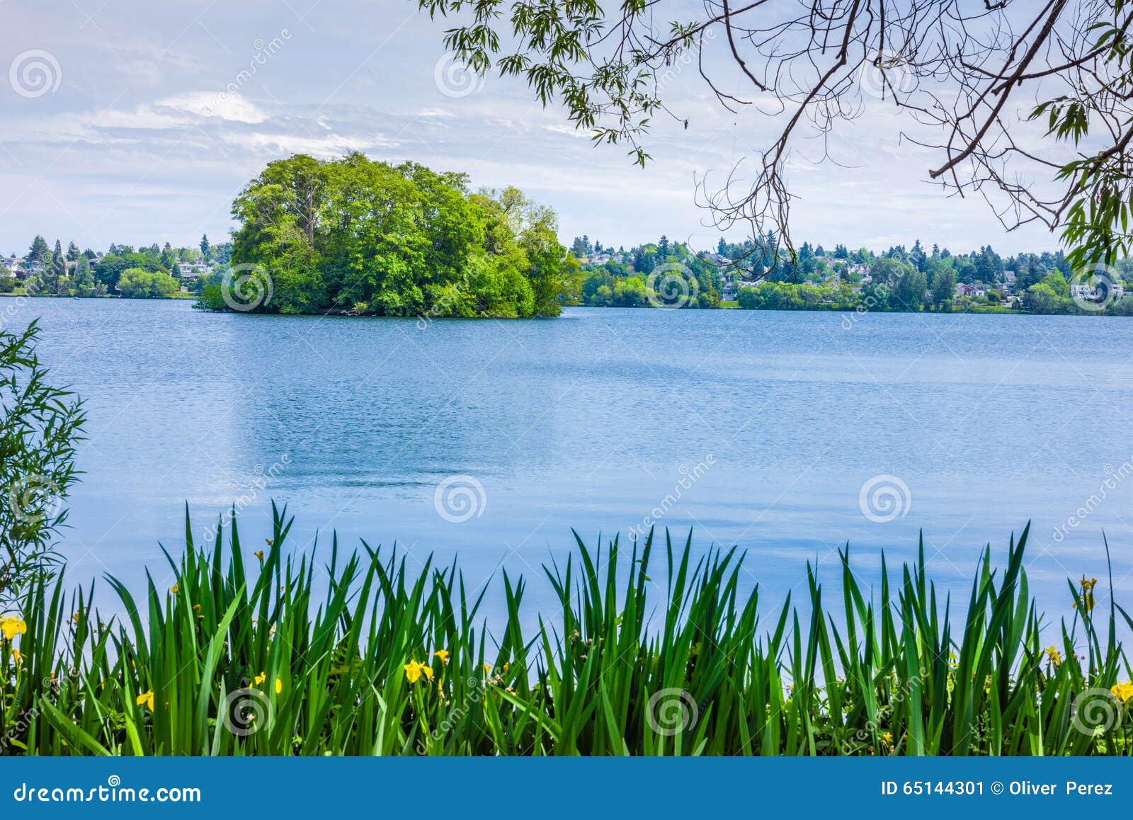 Lakeshore view stock image. Image of beautiful, setting - 65144301