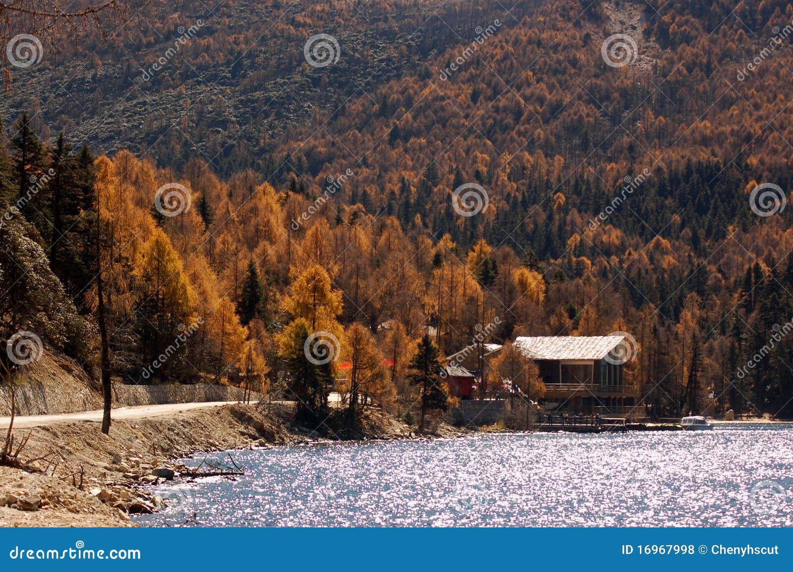 Lakeside stock photo. Image of season, alpine, beautiful - 16967998