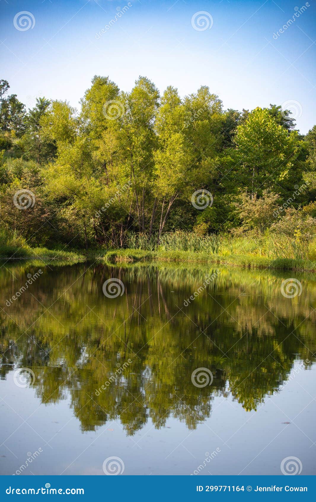 Lakeside Afternoon of Quiet Reflection Stock Photo - Image of green ...