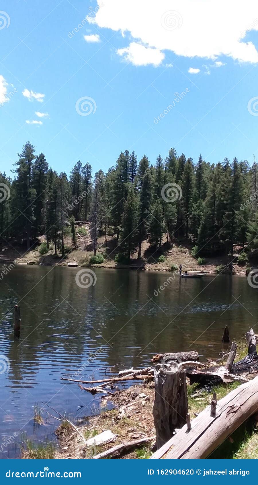 Lakeside stock photo. Image of water, arizona, forest - 162904620