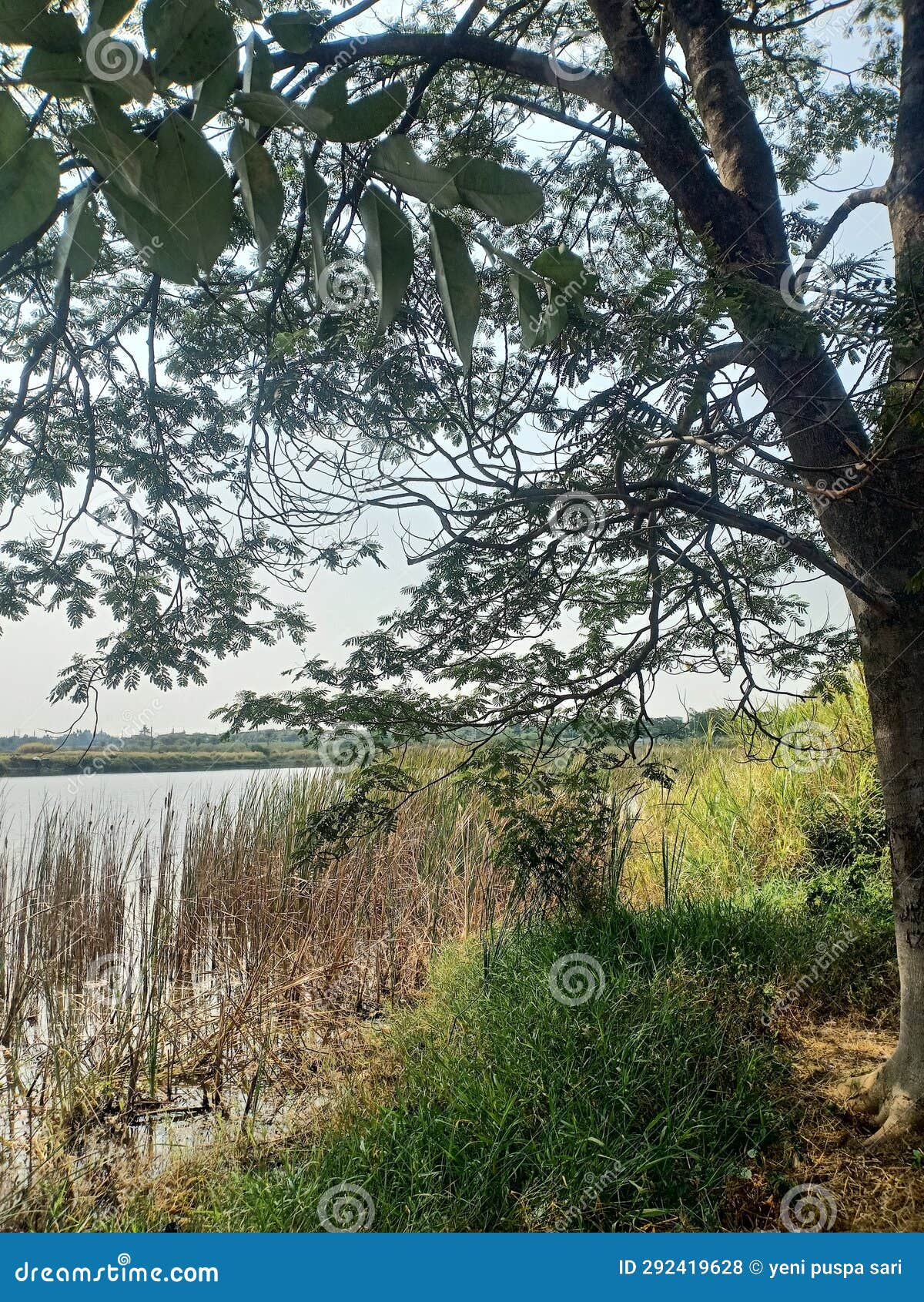 Lakeside Atmosphere in Cibitung Indonesia Stock Photo - Image of ...