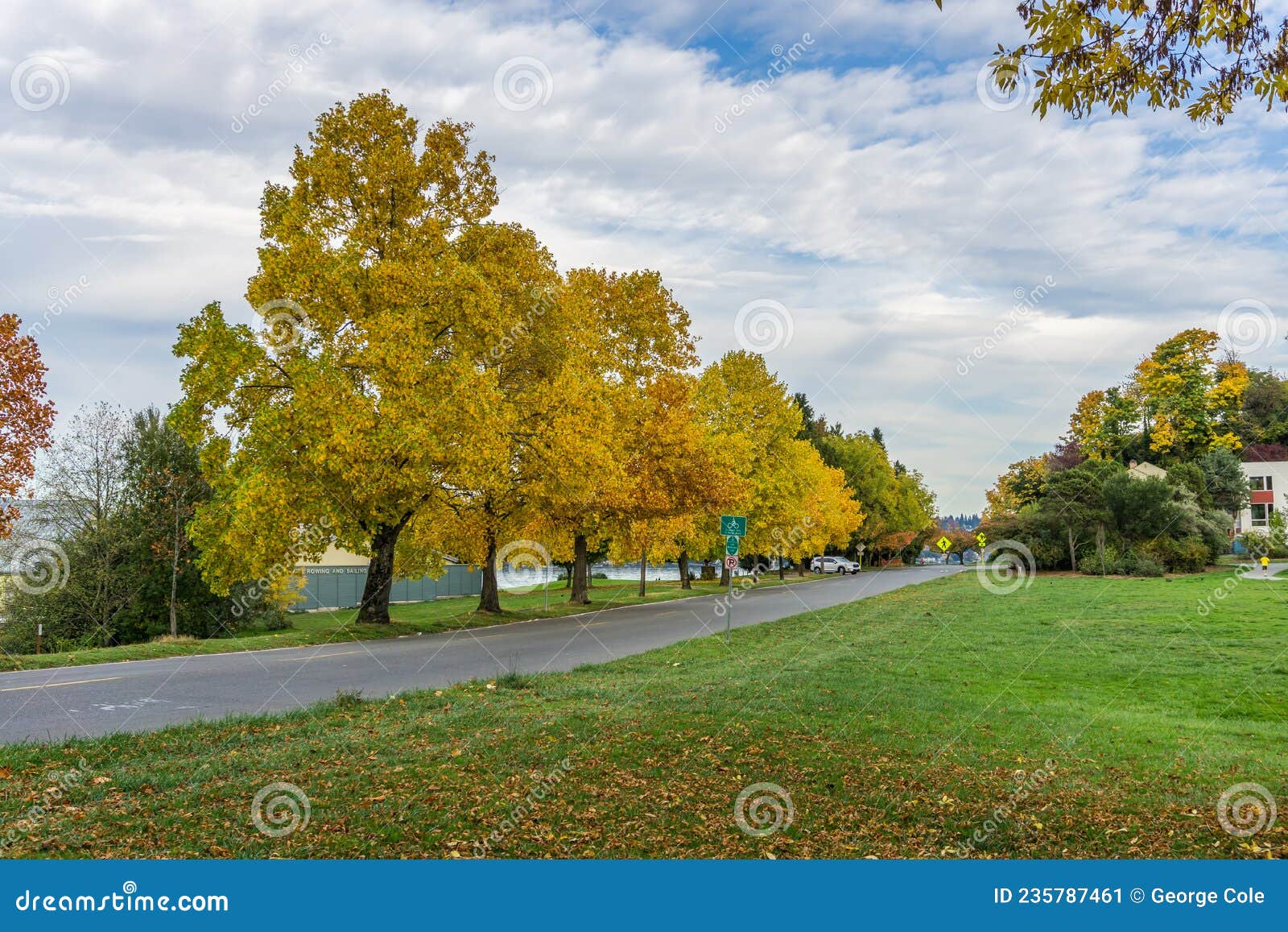 Lakeside Autumn Trees 2 stock image. Image of leaves - 235787461