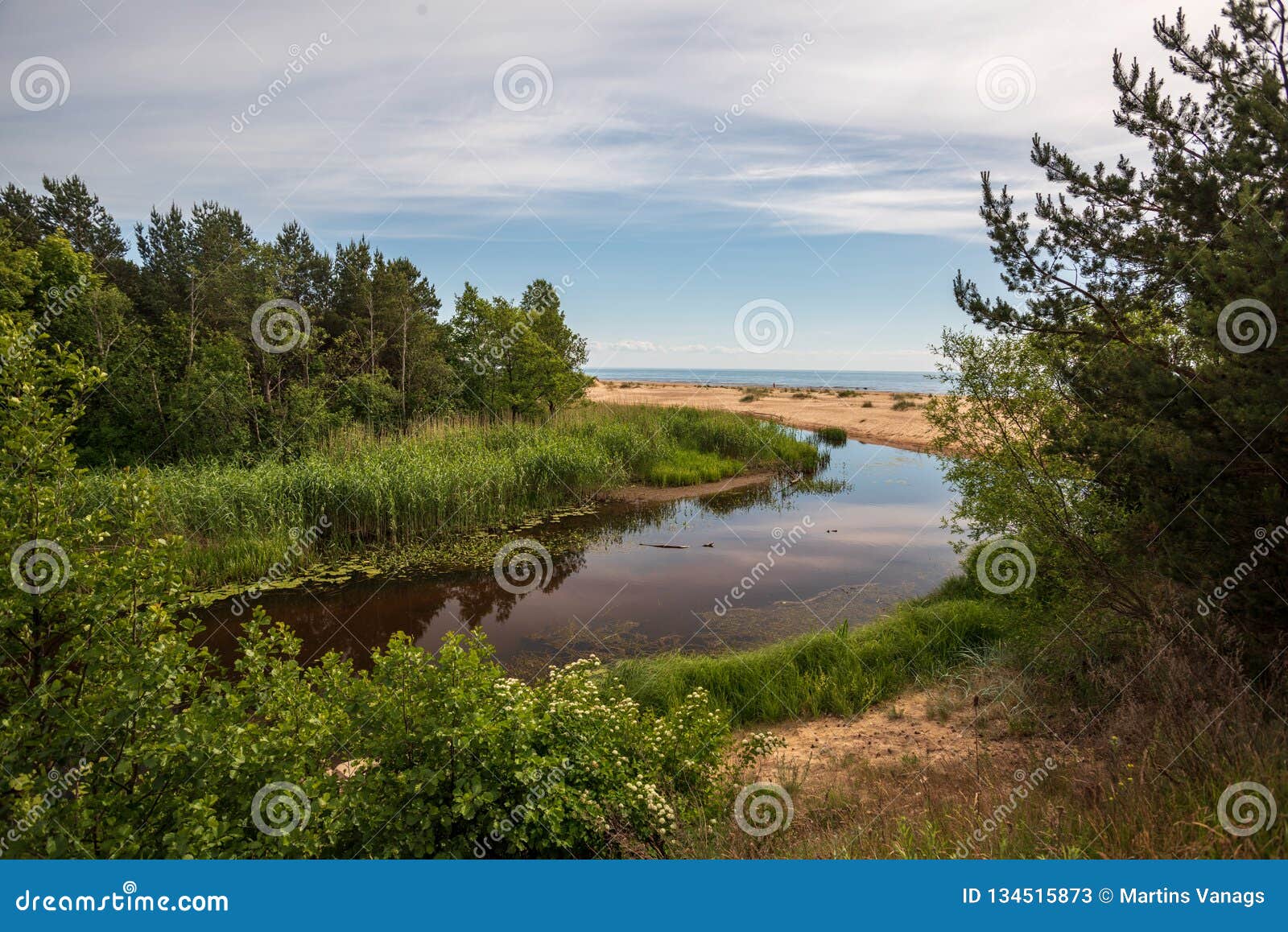 Lakeside Beach Details with Sand, Rocks and Blur Background Stock Image ...