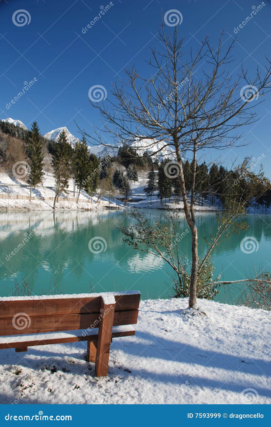 Lakeside Bench in Snow stock image. Image of countryside - 7593999