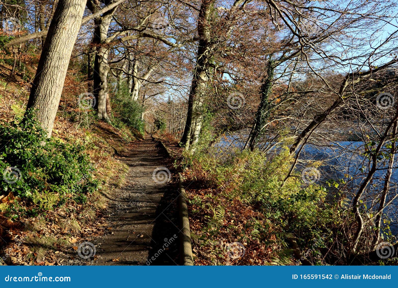 Lakeside Footpath on a Bright Winter Morning Stock Photo - Image of ...