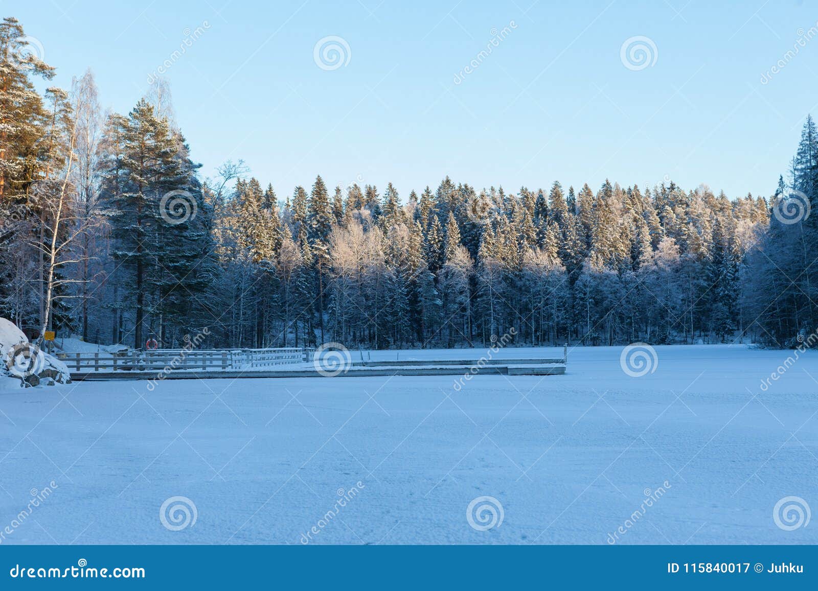 Lakeside Forest Half in Sunlight Stock Image - Image of nature, frost ...