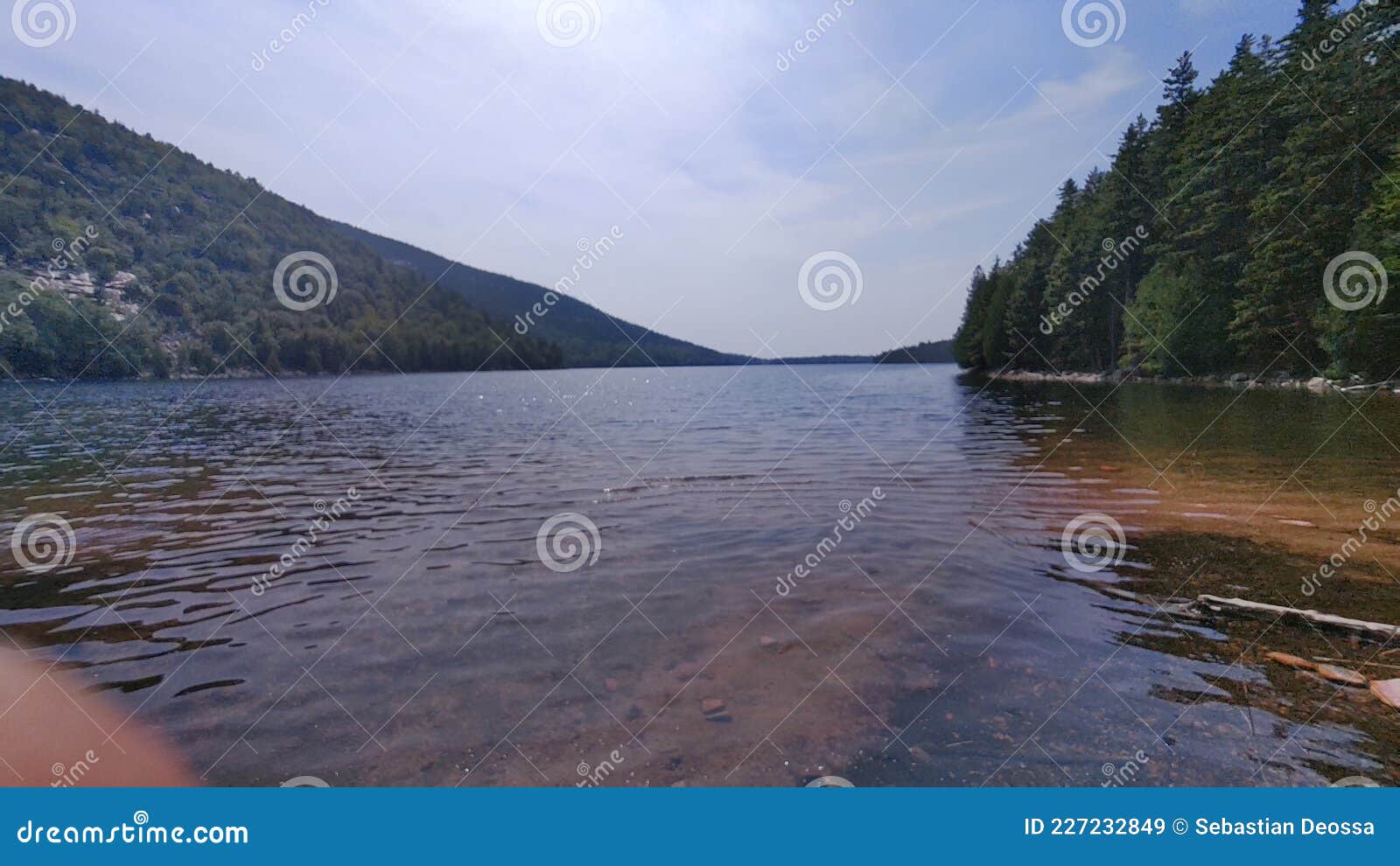 Lakeside Forest Trail stock image. Image of reflection - 227232849
