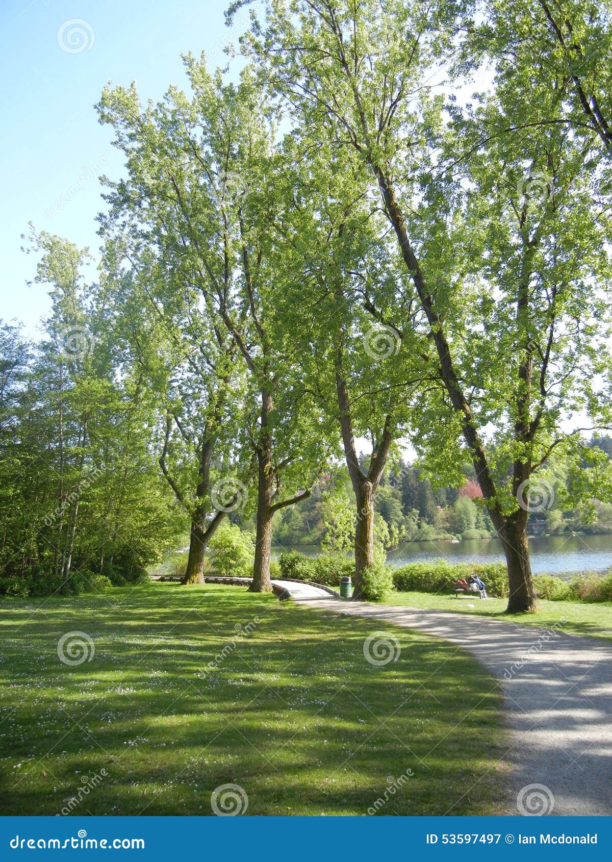 Lakeside Path stock image. Image of forest, lake, path - 53597497