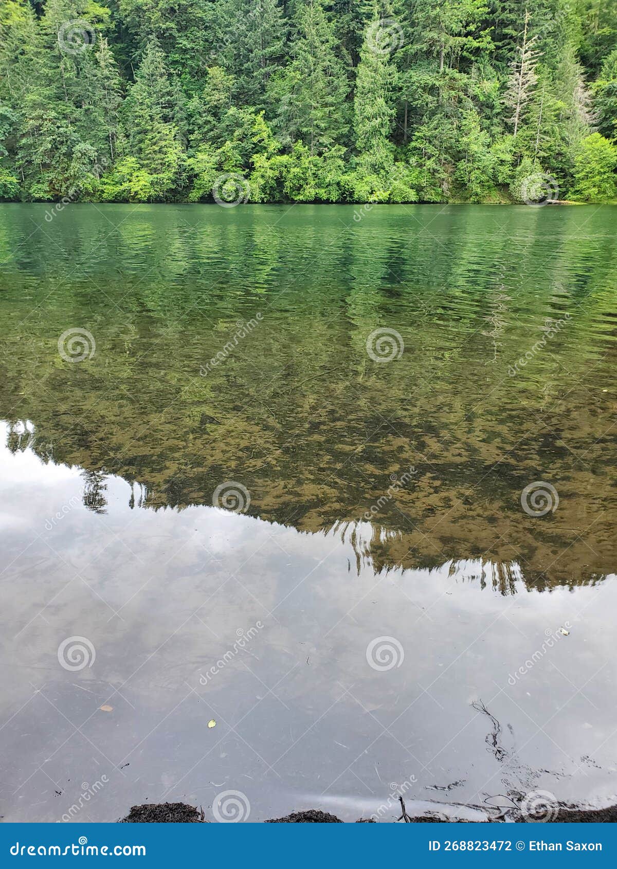 Lakeside reflection time stock photo. Image of soil - 268823472