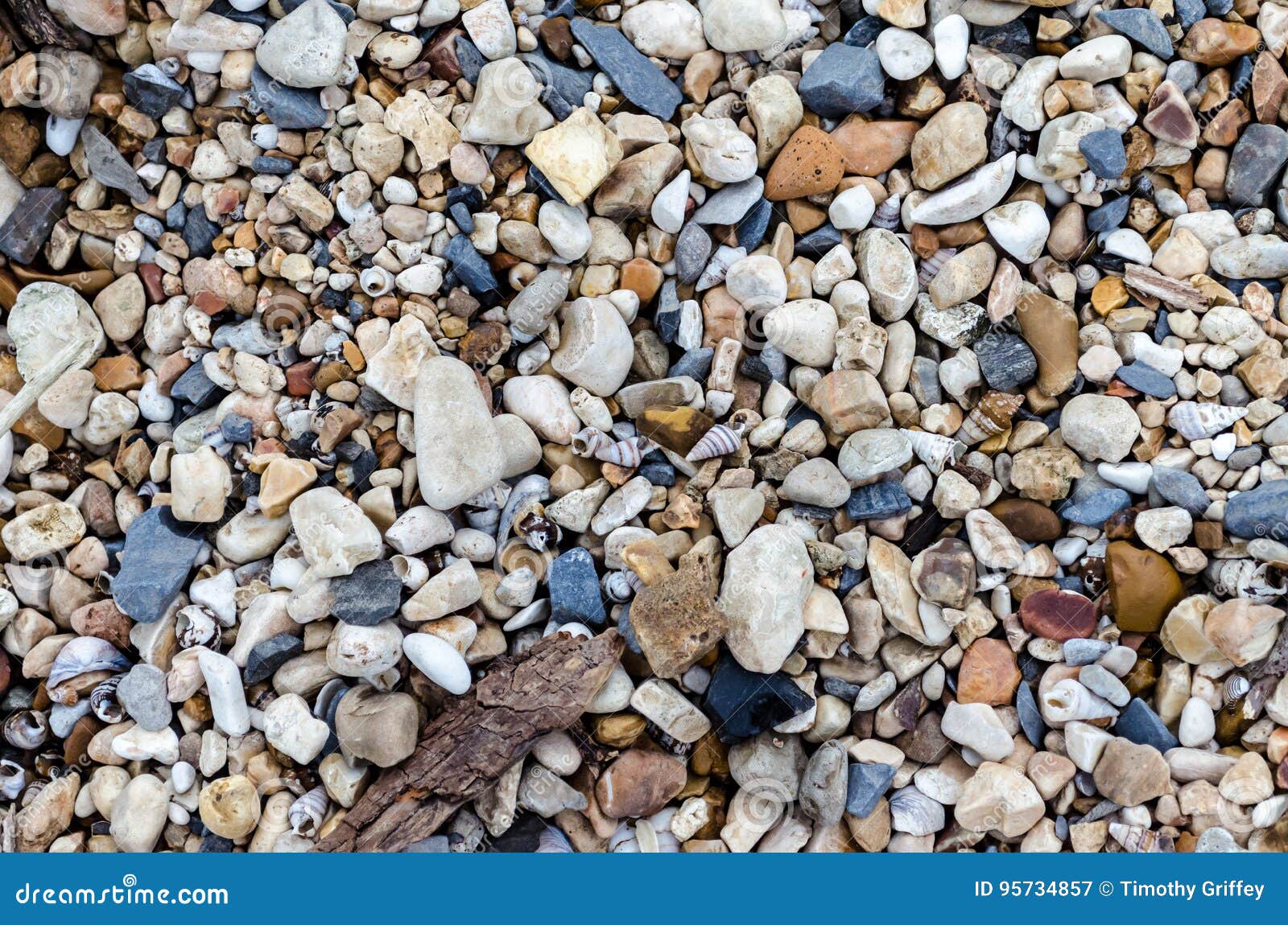 Lakeside rocks and shells stock image. Image of river - 95734857