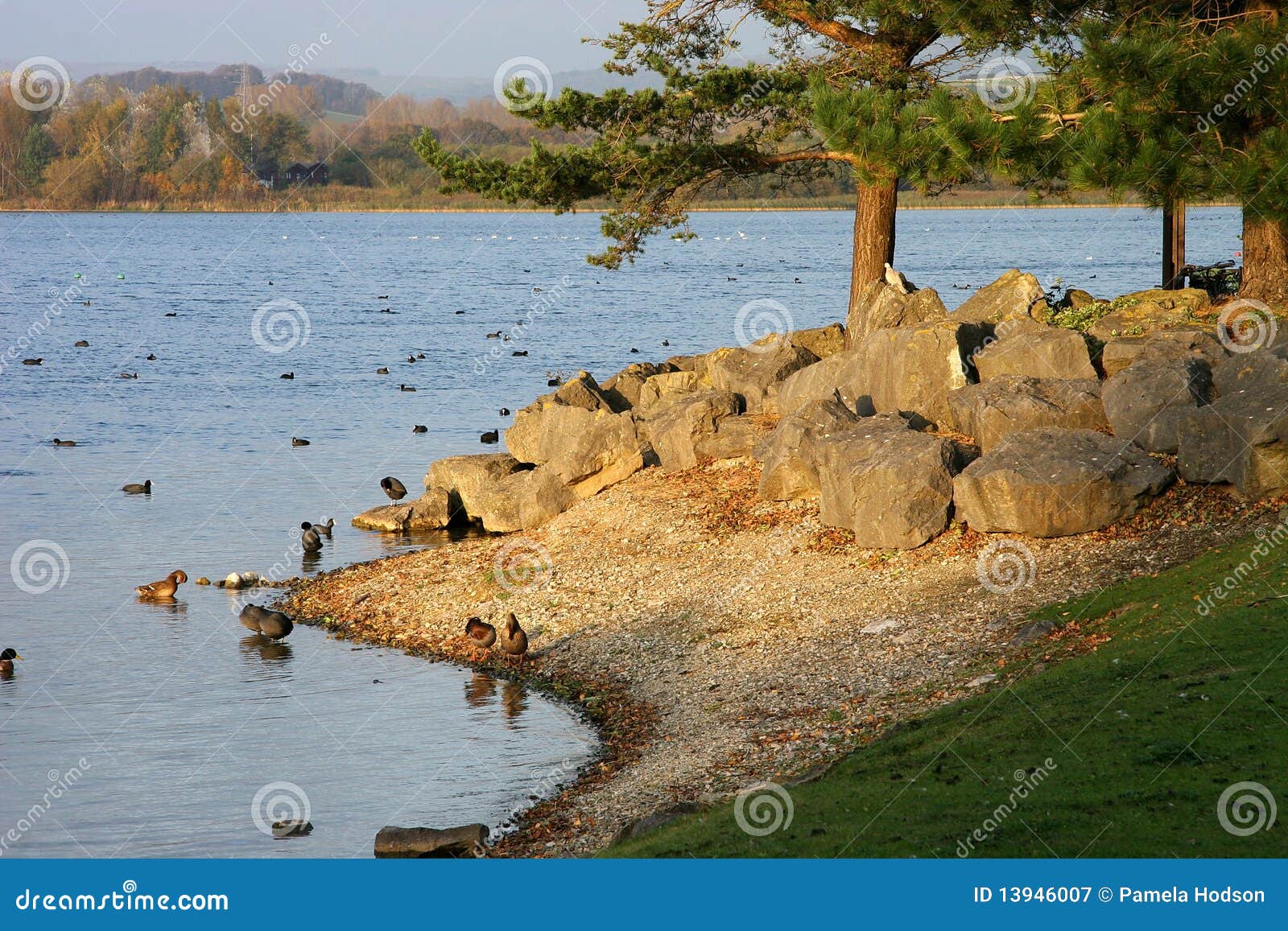 Lakeside scene stock image. Image of lake, national, lakeside - 13946007