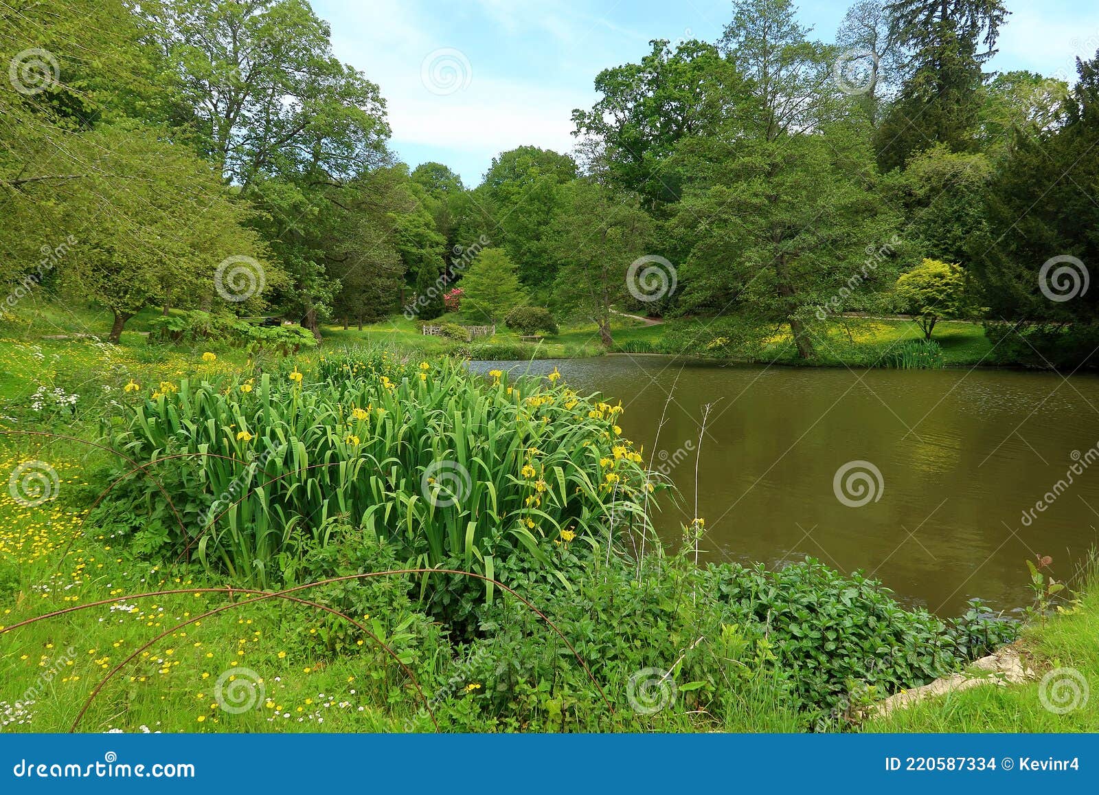 A Lakeside Scene in the Kent Countryside Stock Photo - Image of view ...