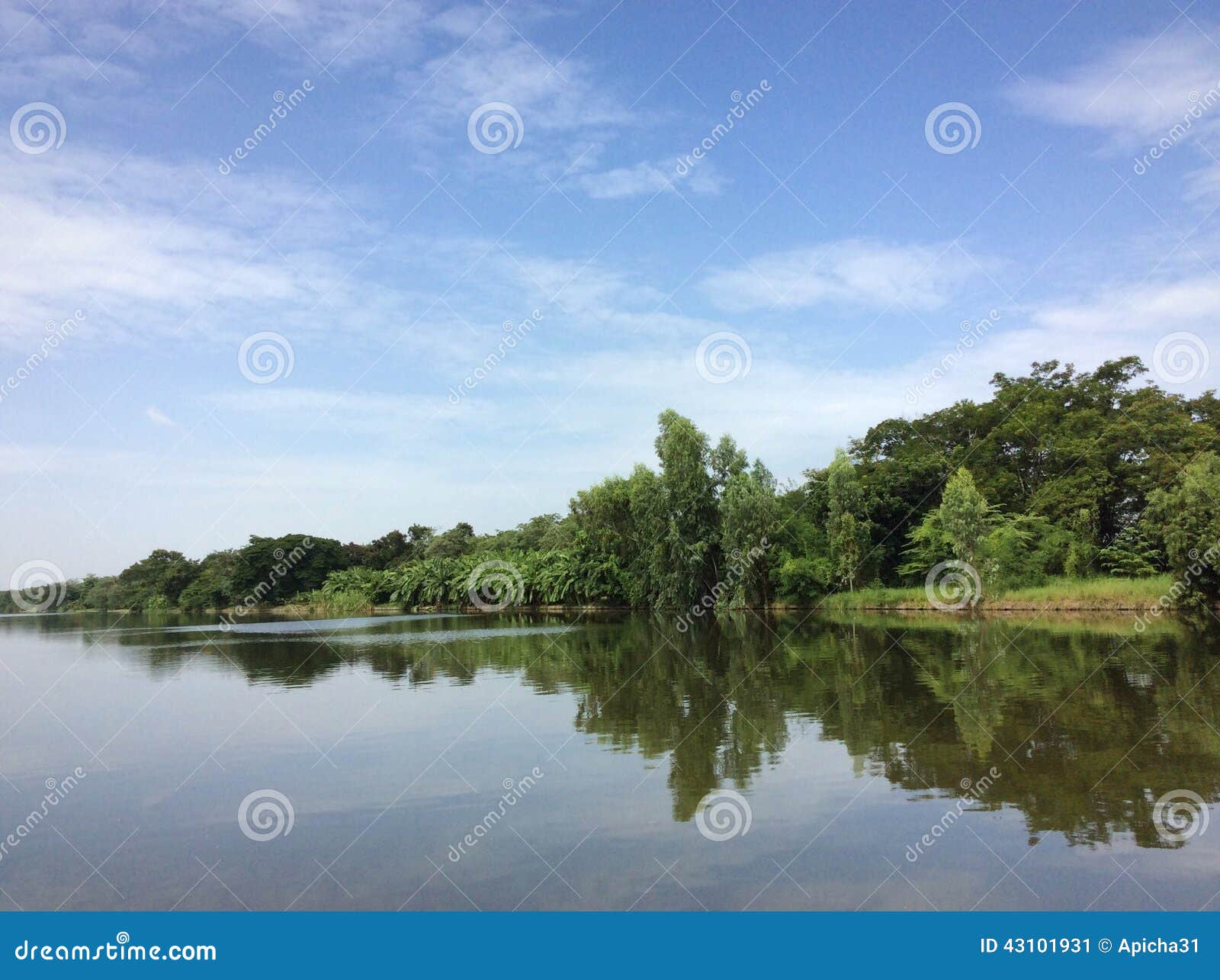 Lakeside Scenery with Clear Water. Editorial Photo - Image of reservoir ...