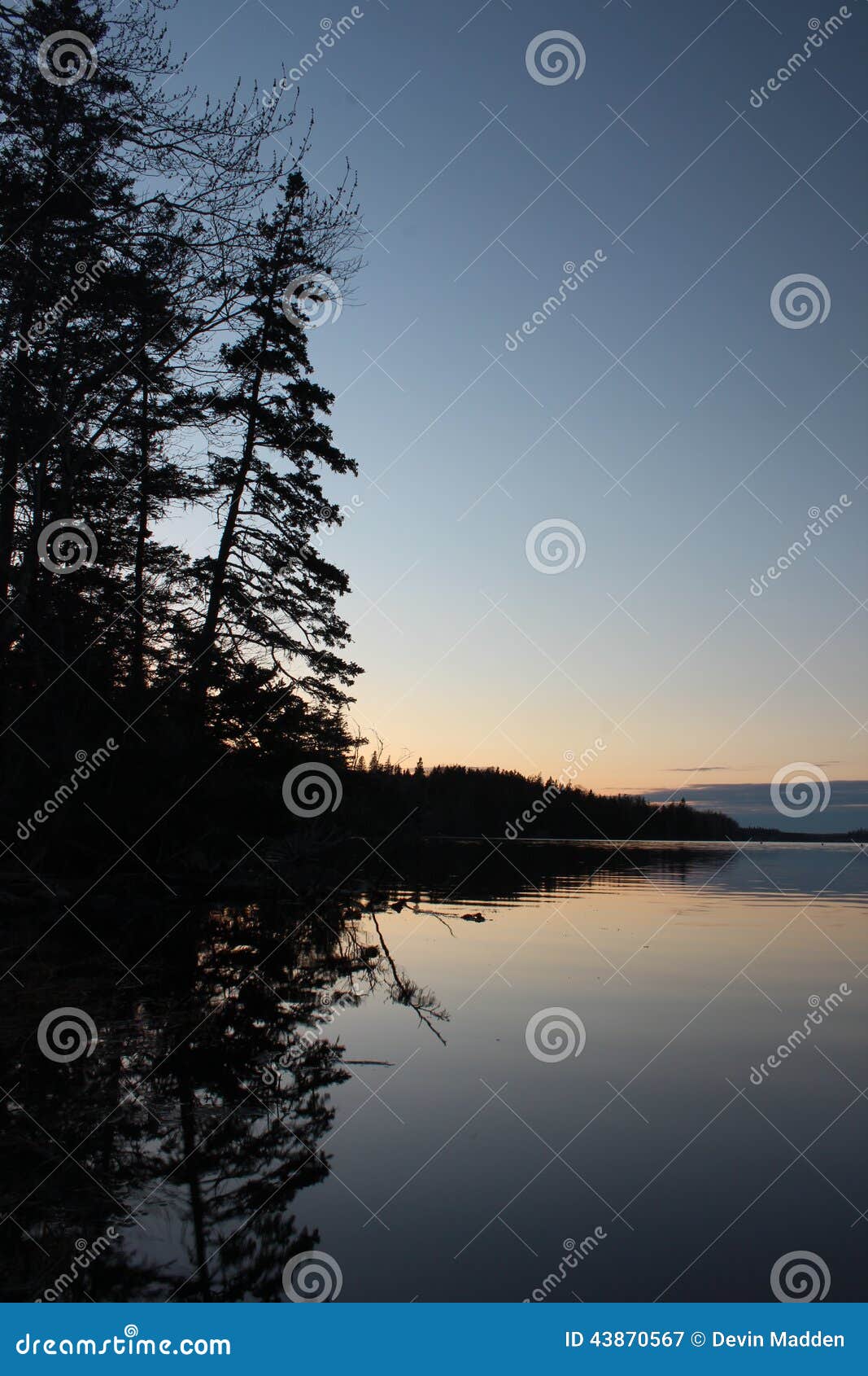 Trees Overshadowing Cave In Grand Cayman Royalty-Free Stock Photo ...