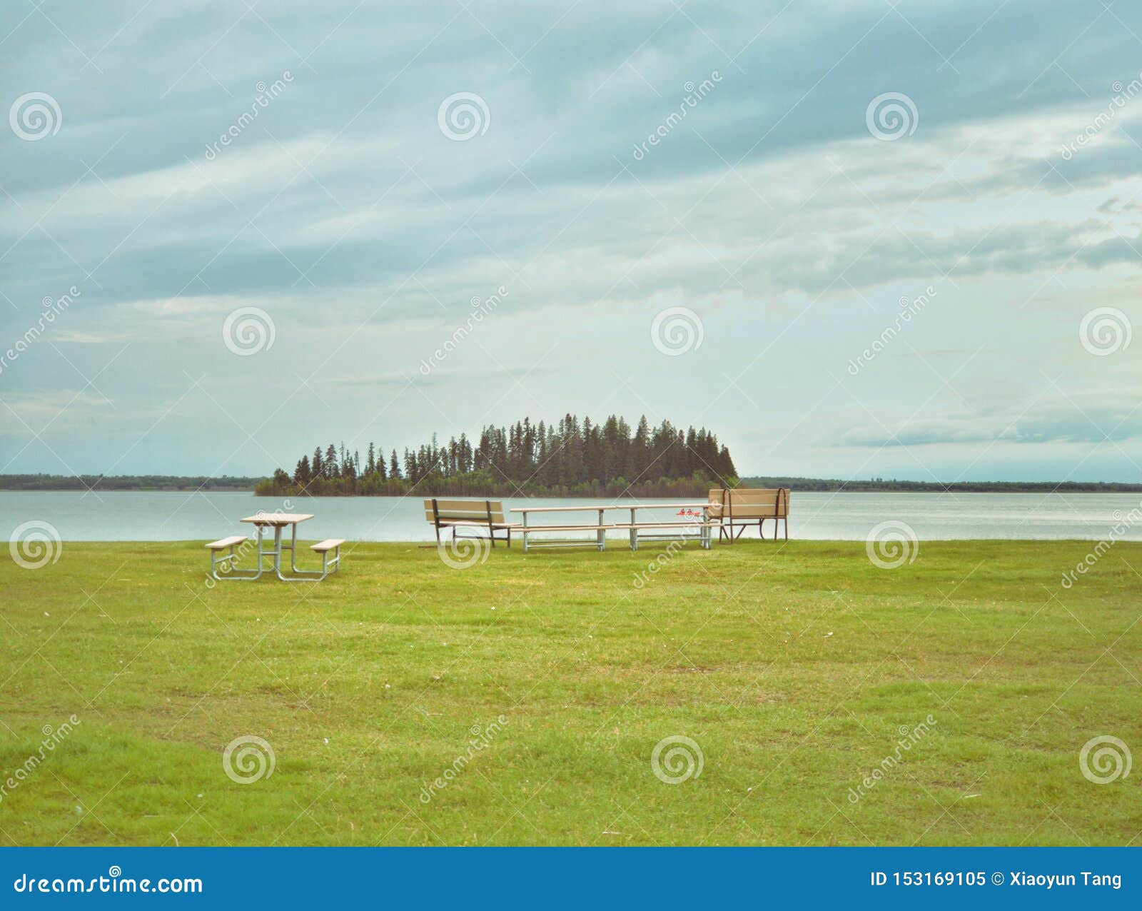Lakeside stock image. Image of grass, lakeside, summer - 153169105