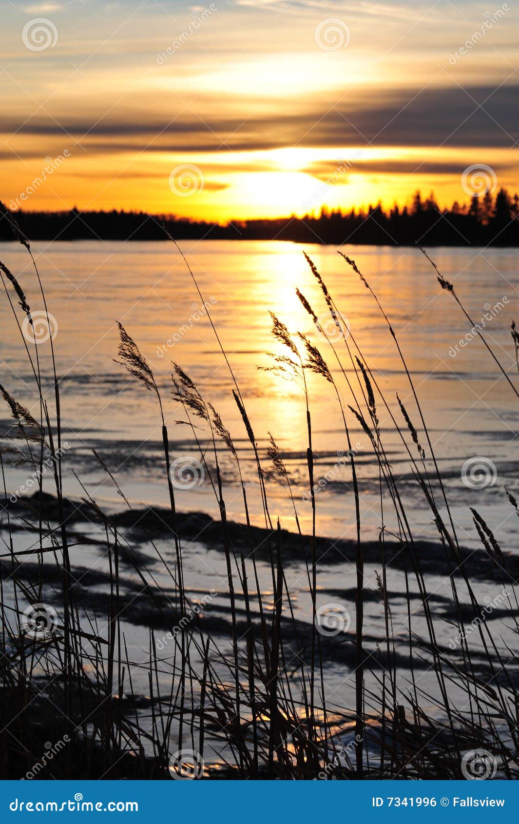 Lakeside sunset stock photo. Image of cold, golden, forest - 7341996