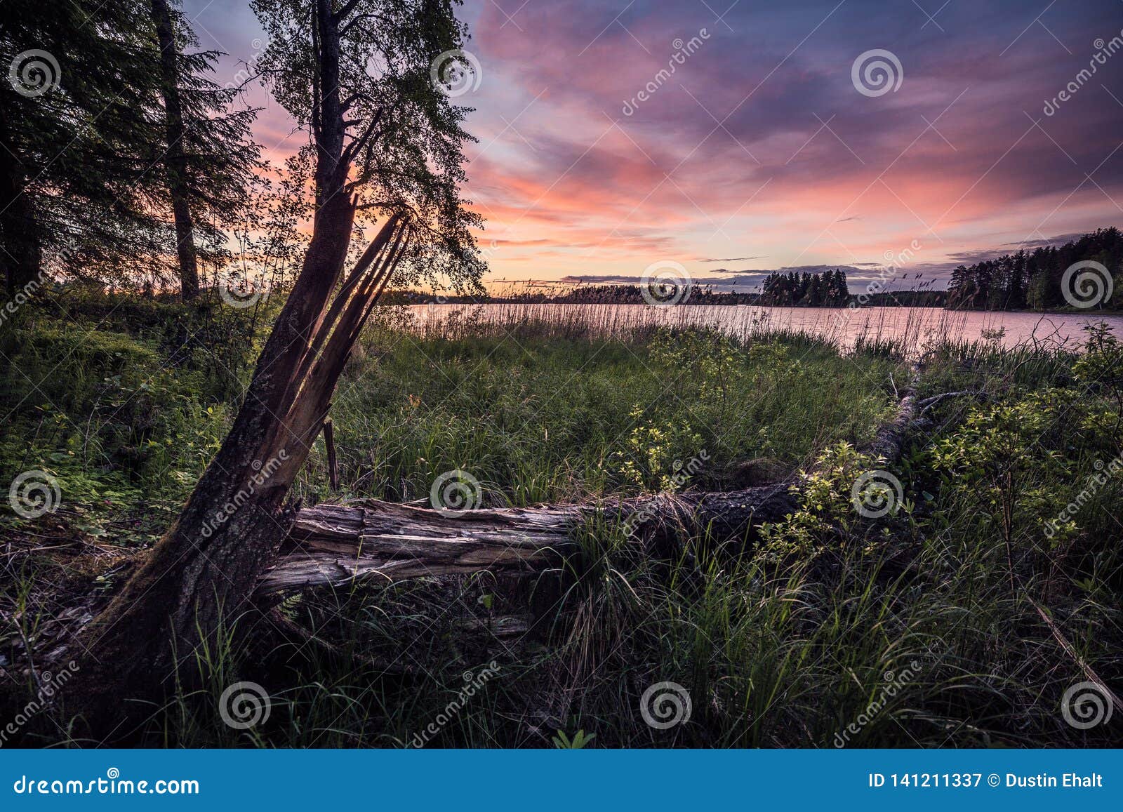 Lakeside Sunset by a Fallen Tree. Stock Image - Image of glow, morning ...