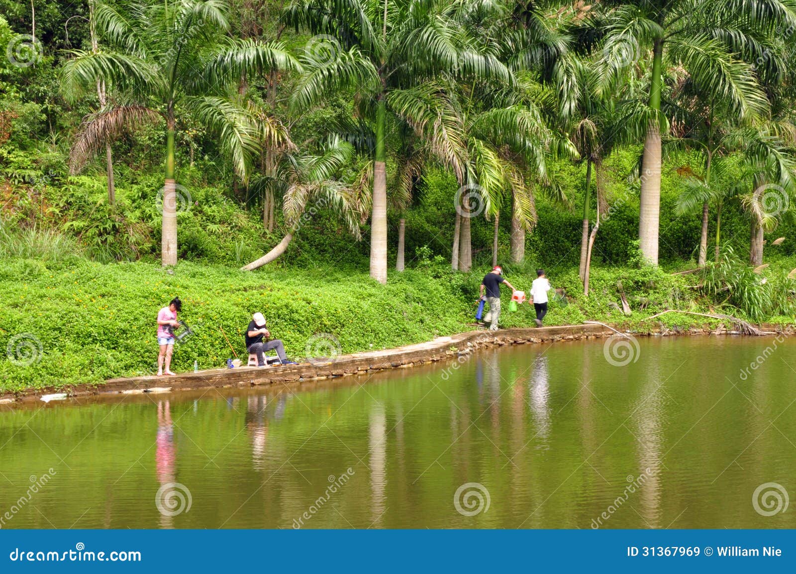 Lakeside editorial stock image. Image of relaxation, woods - 31367969