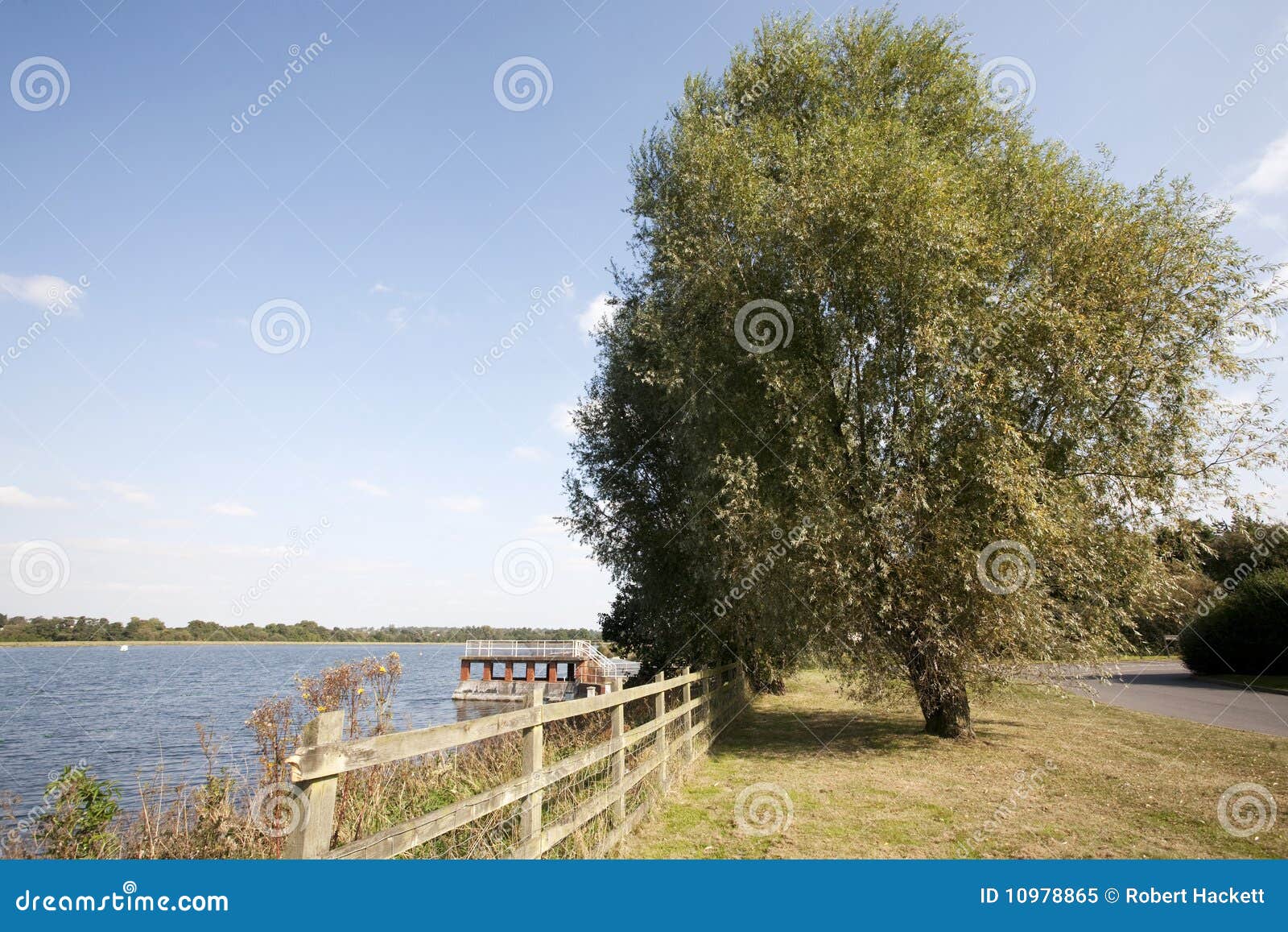 Lakeside tree stock image. Image of water, reservoir - 10978865