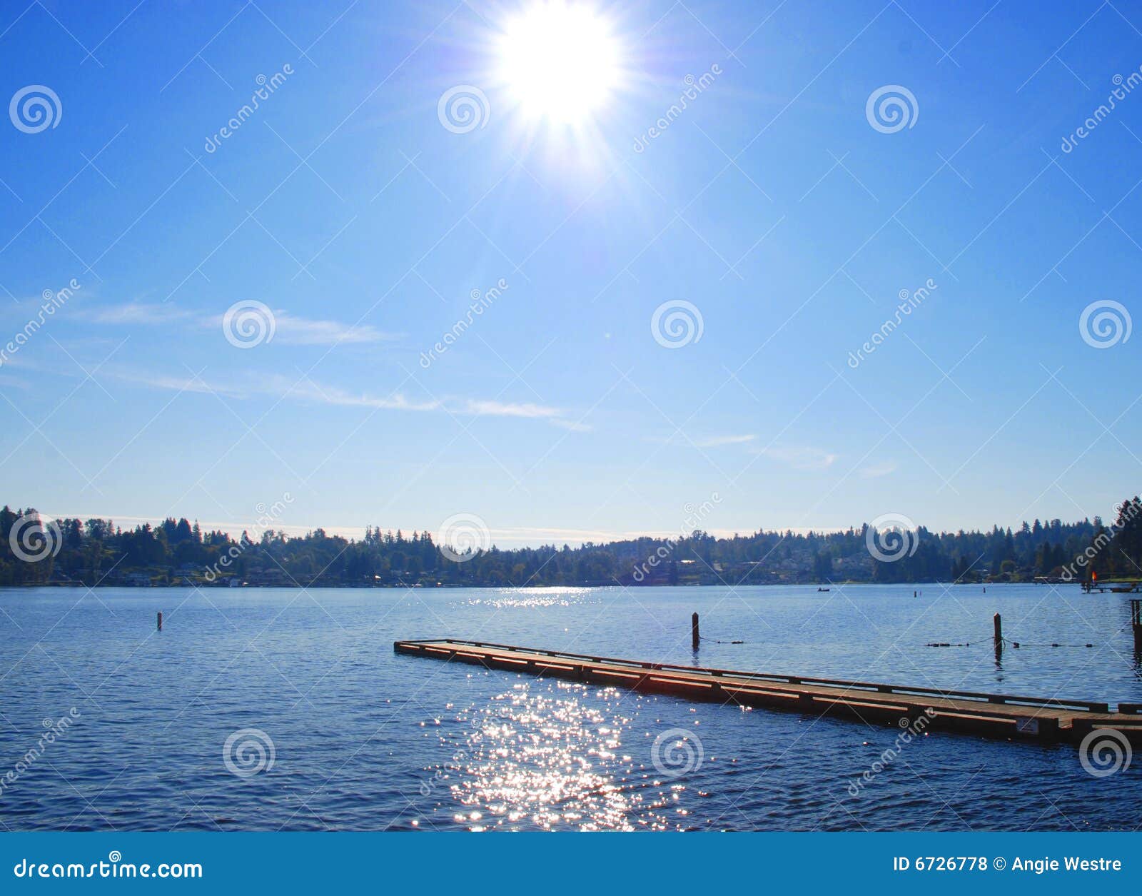 Lakeside view stock photo. Image of nature, fall, lakeside - 6726778