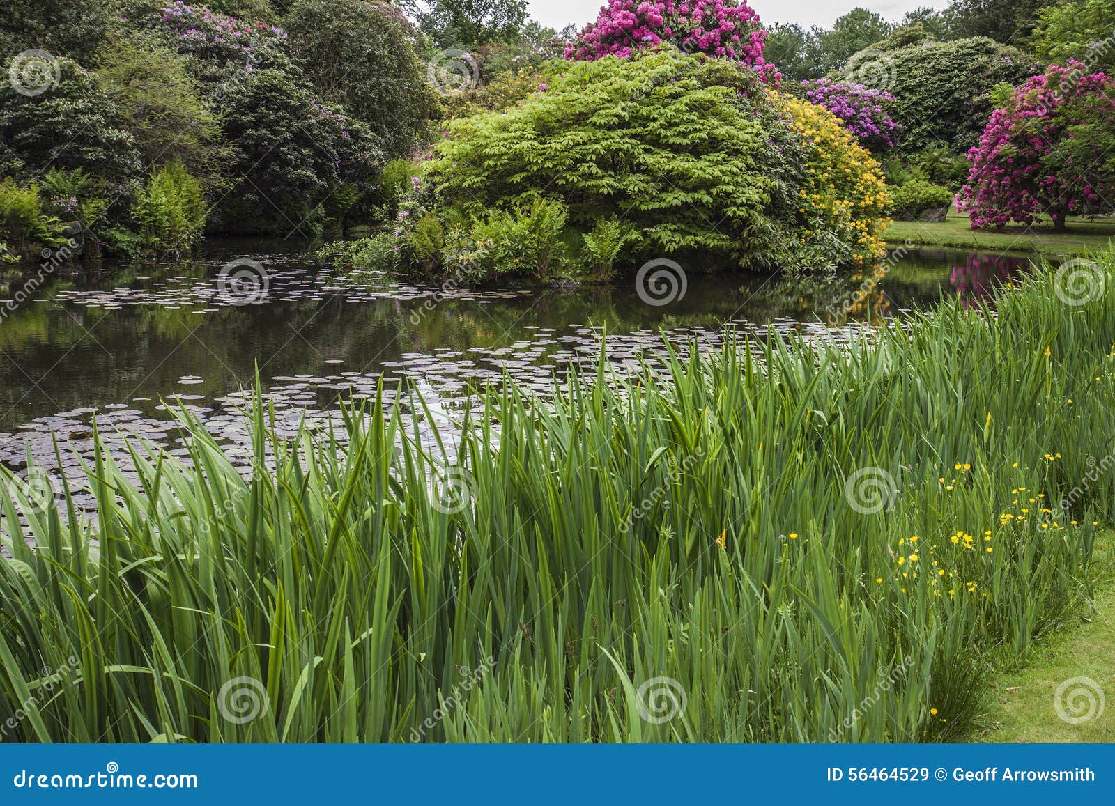 Lakeside View at Biddulph Grange, Stoke, Engalnd Stock Image - Image of ...