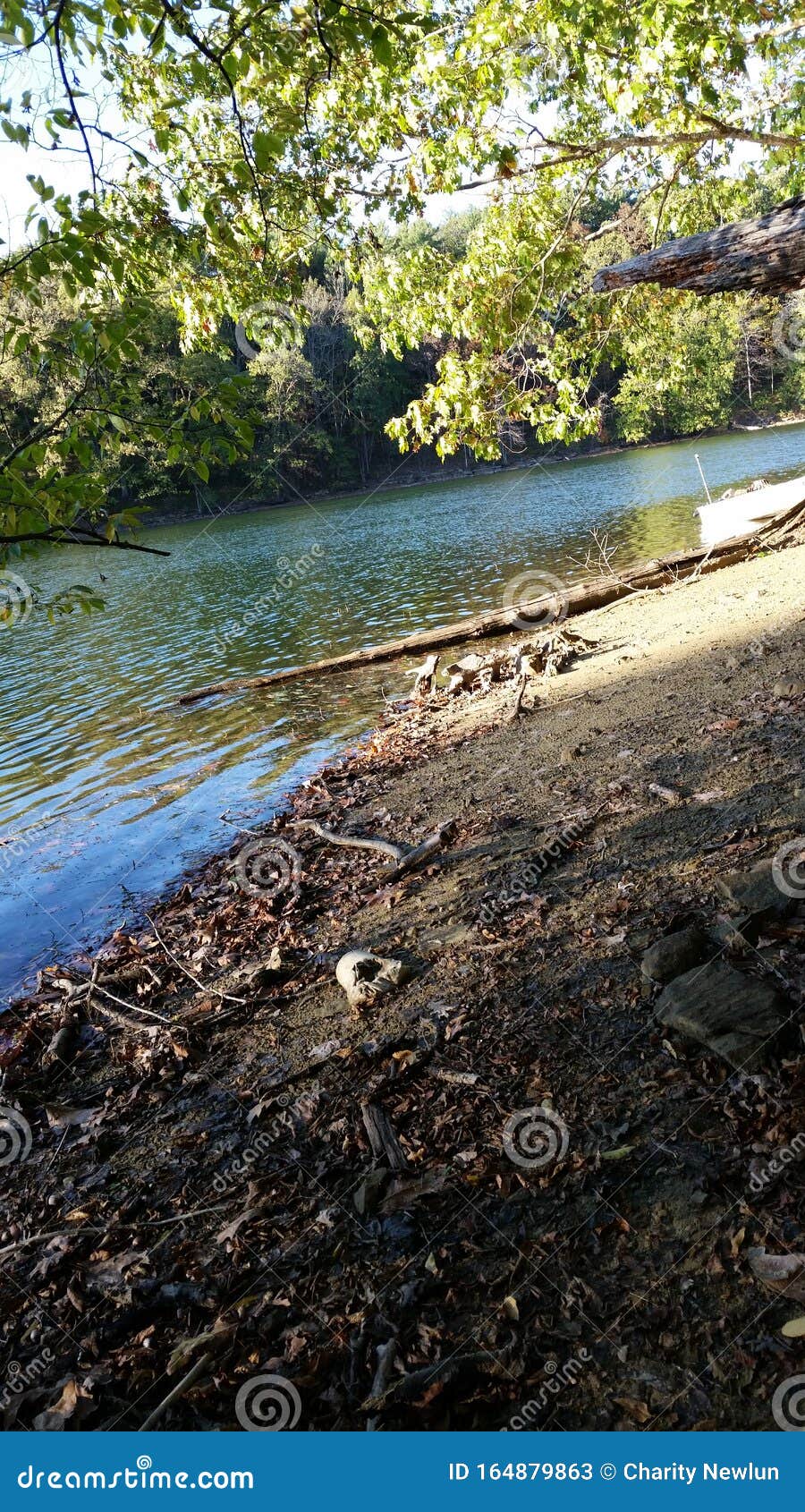 Lakeside View stock image. Image of sightseeing, lakeside - 164879863