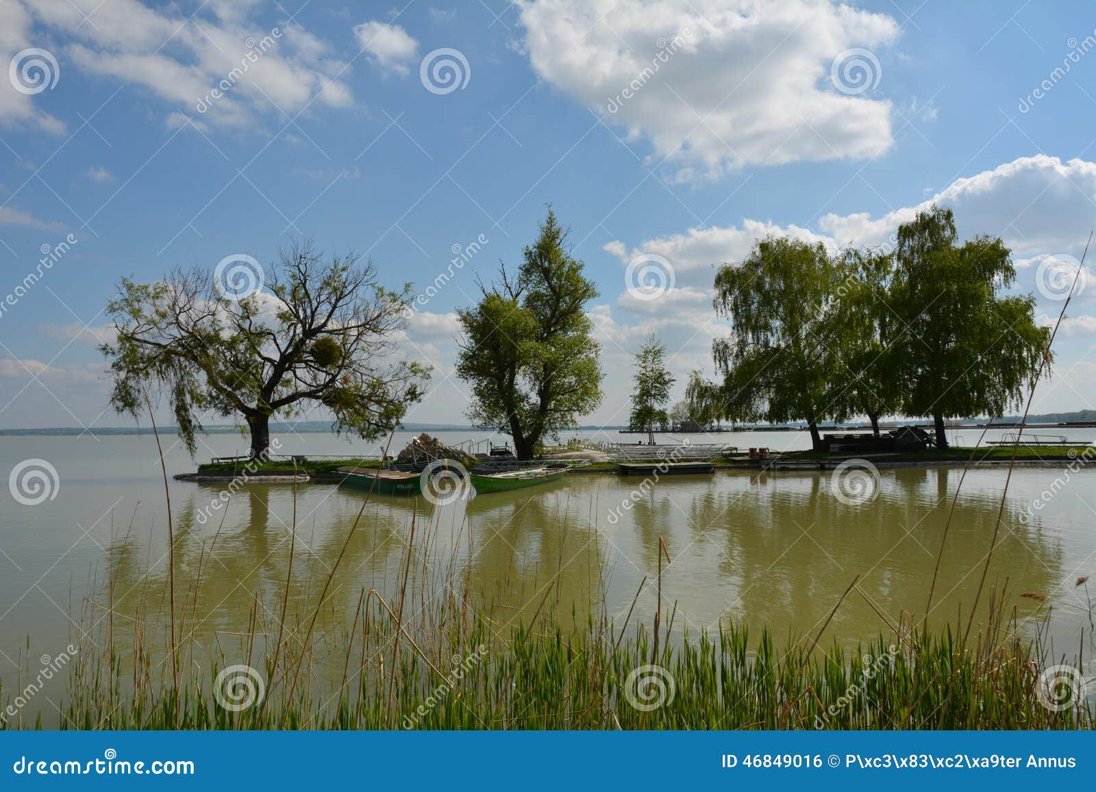 Lakeside view in summer stock photo. Image of water, reeds - 46849016