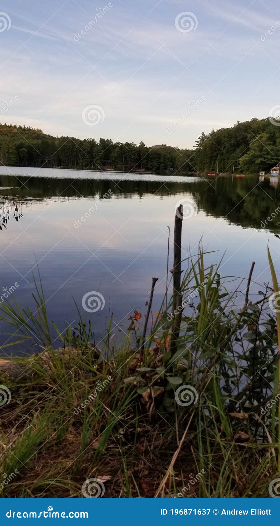 Lakeside Views on a Clear Evening Stock Image - Image of tree, fishpond ...