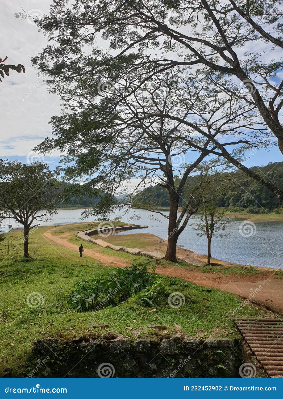 Lakeside stock photo. Image of trees, lake, lakeside - 232452902