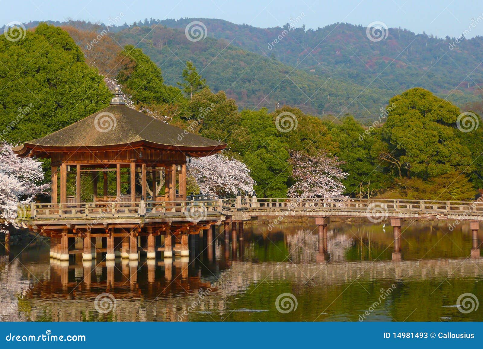 Lako stock image. Image of - 14981493