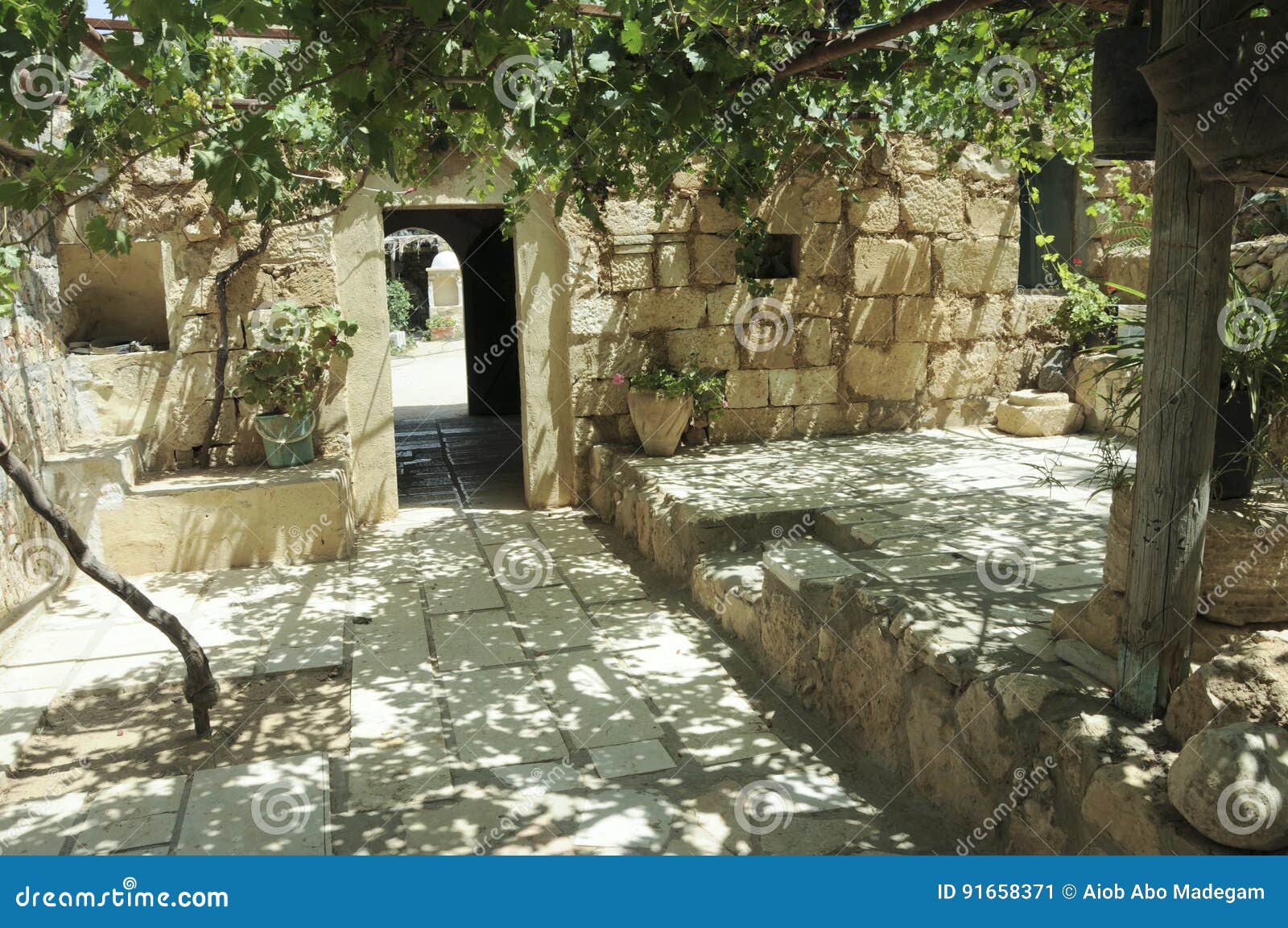 Lakya village stock image. Image of brown, arabic, camel - 91658371