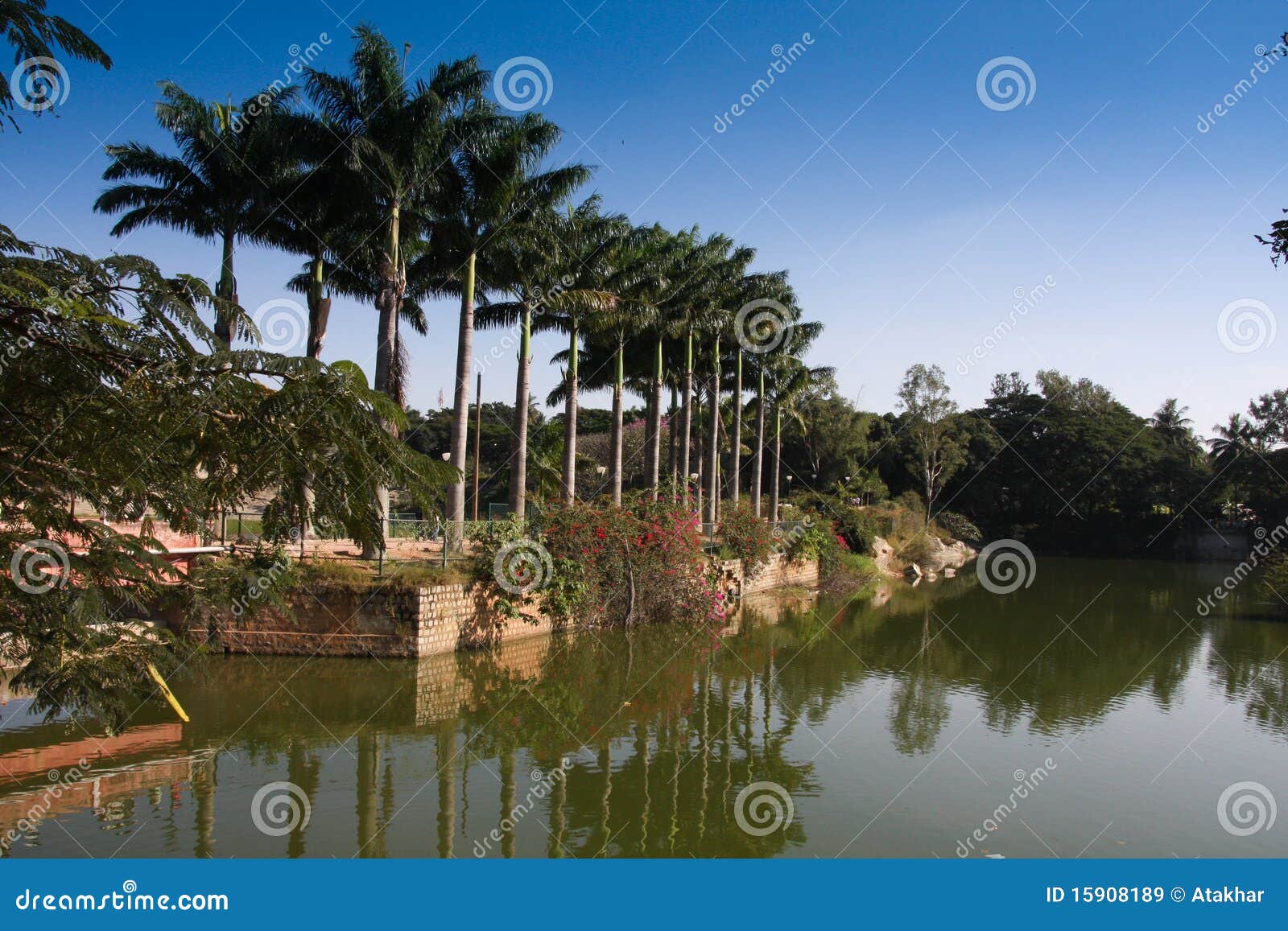 Lal Bagh gardens Bangalore stock image. Image of bangalore - 15908189